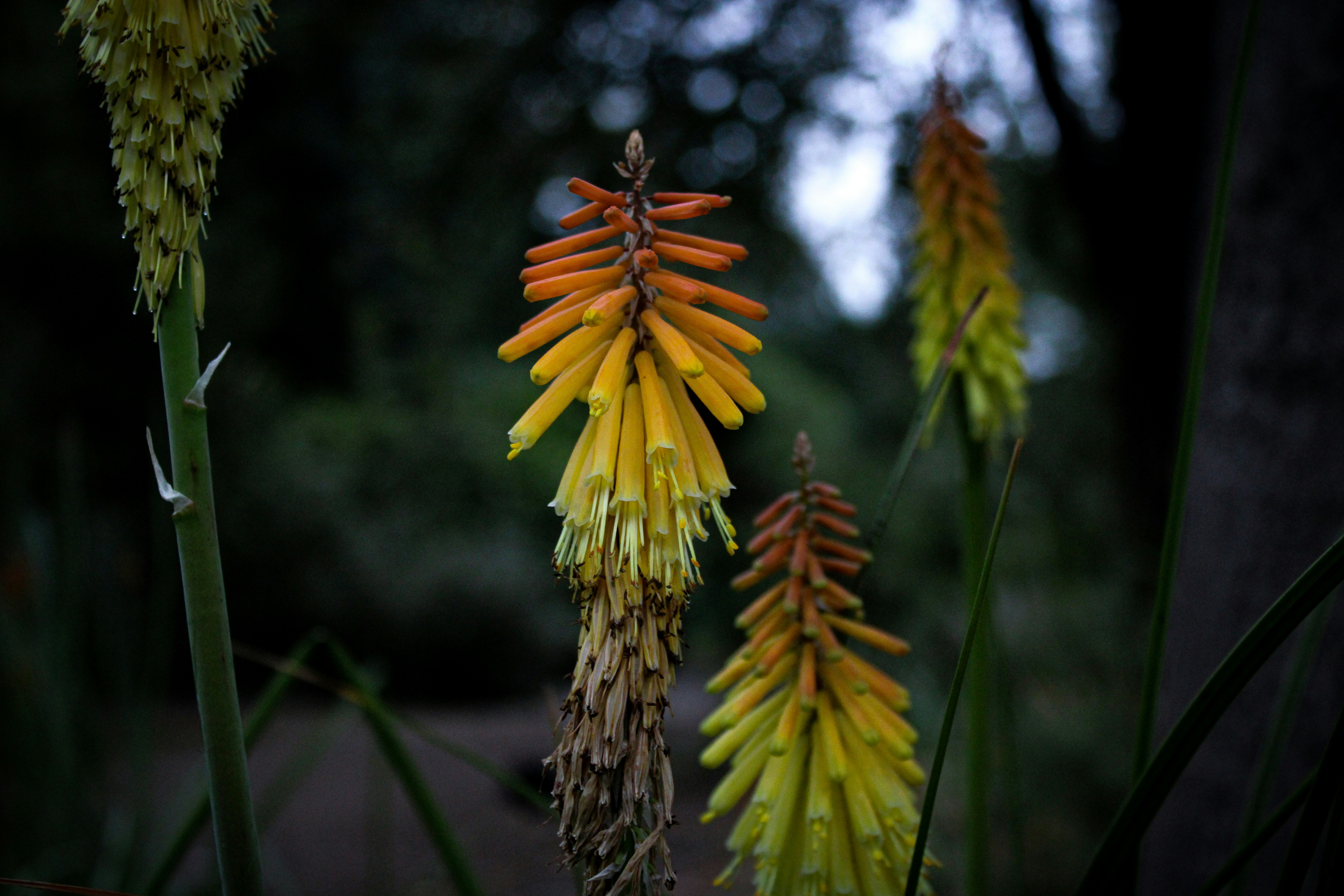 Photograph by Mark Stuckey.