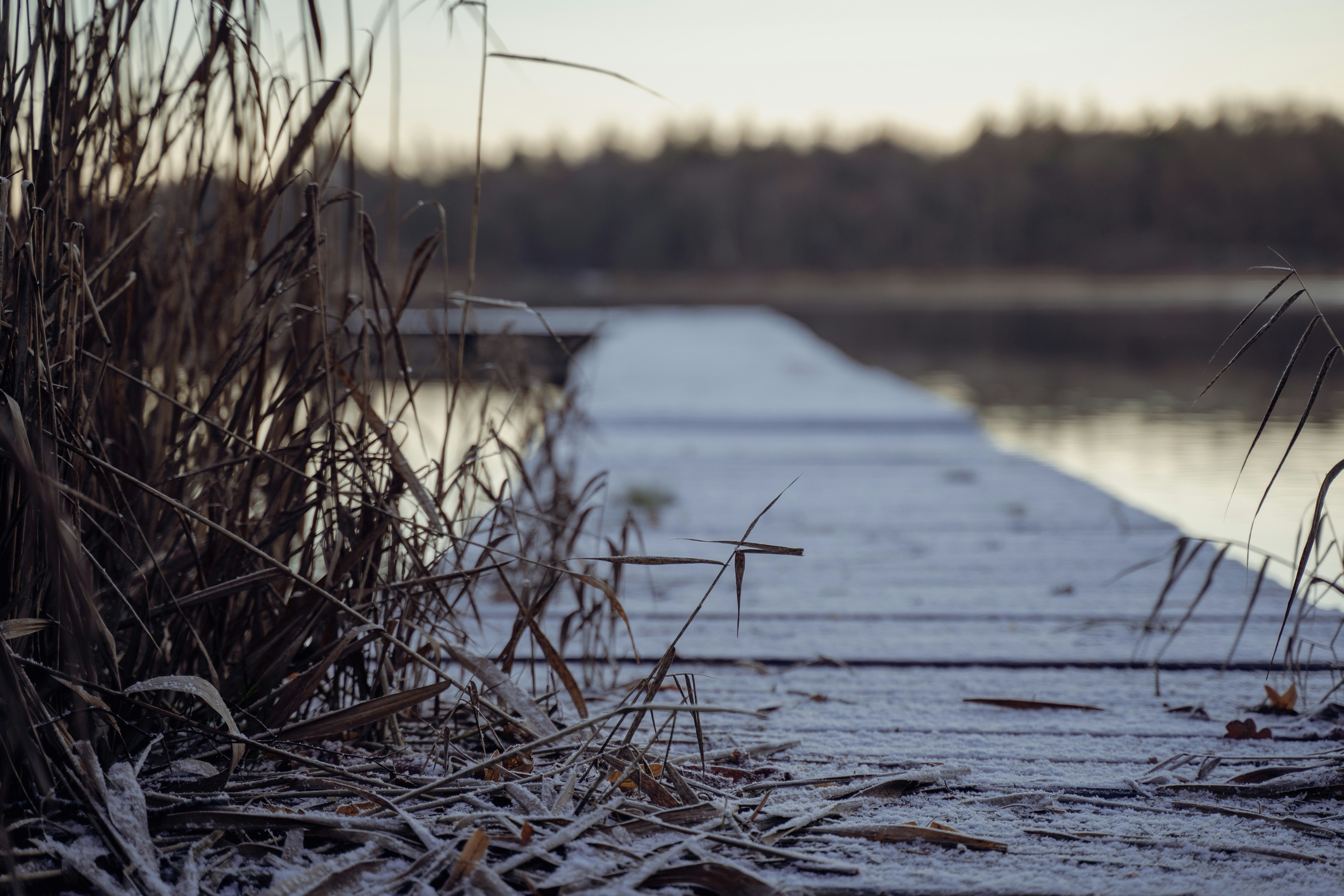a wooden dock sitting next to a body of water