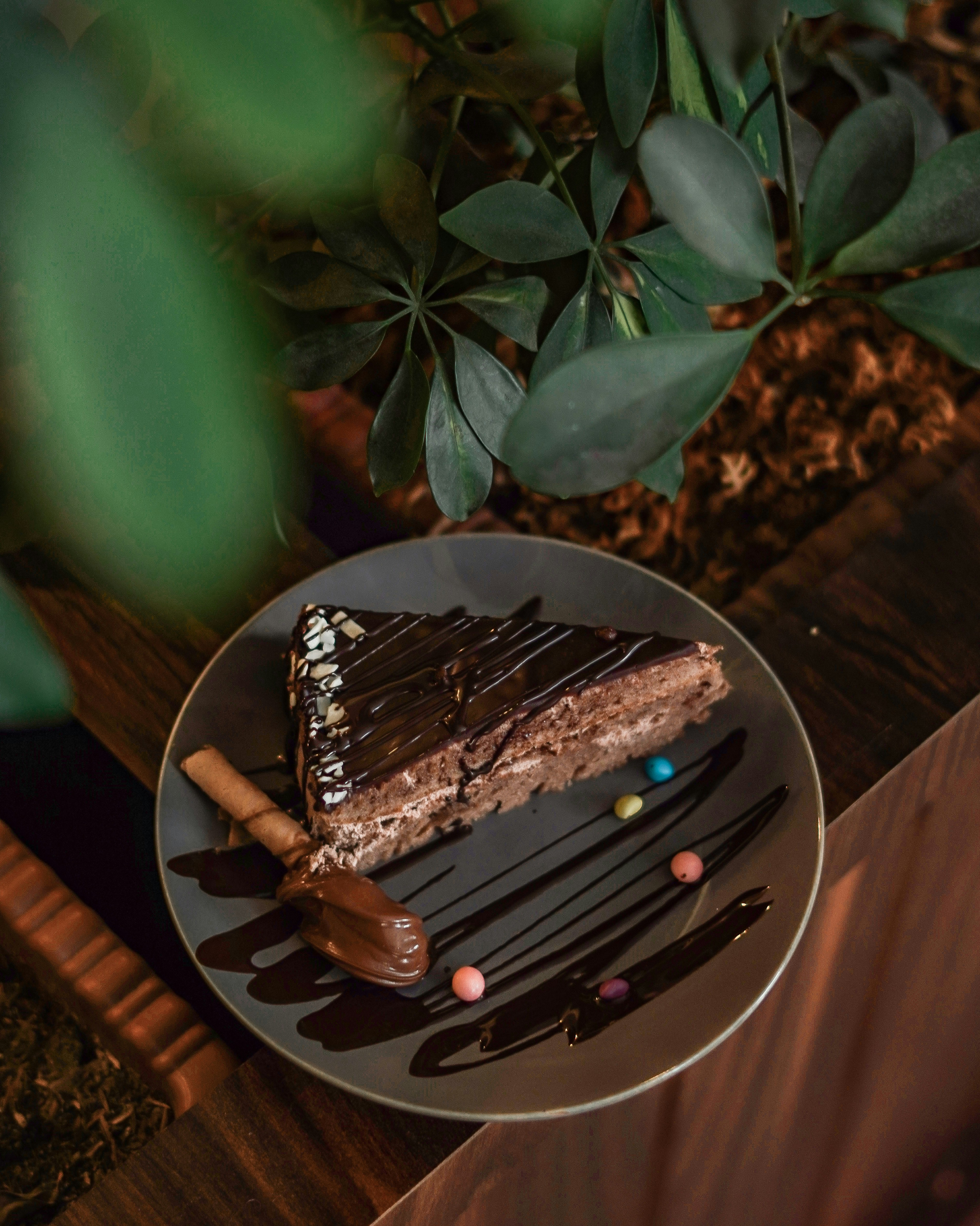Verdant Canopy, Velvet Slice: Chocolate Cake on a Rustic Plate
