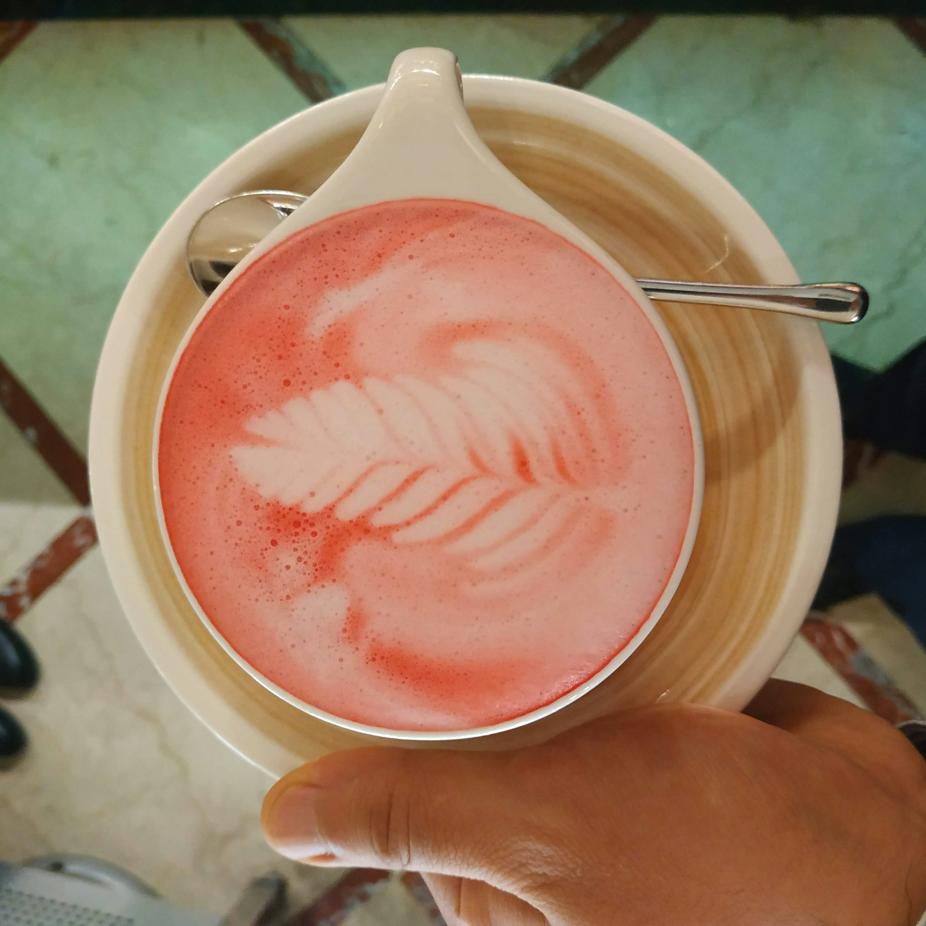 Rose-Hued Latte Leaf Cradled by a Handheld Moment