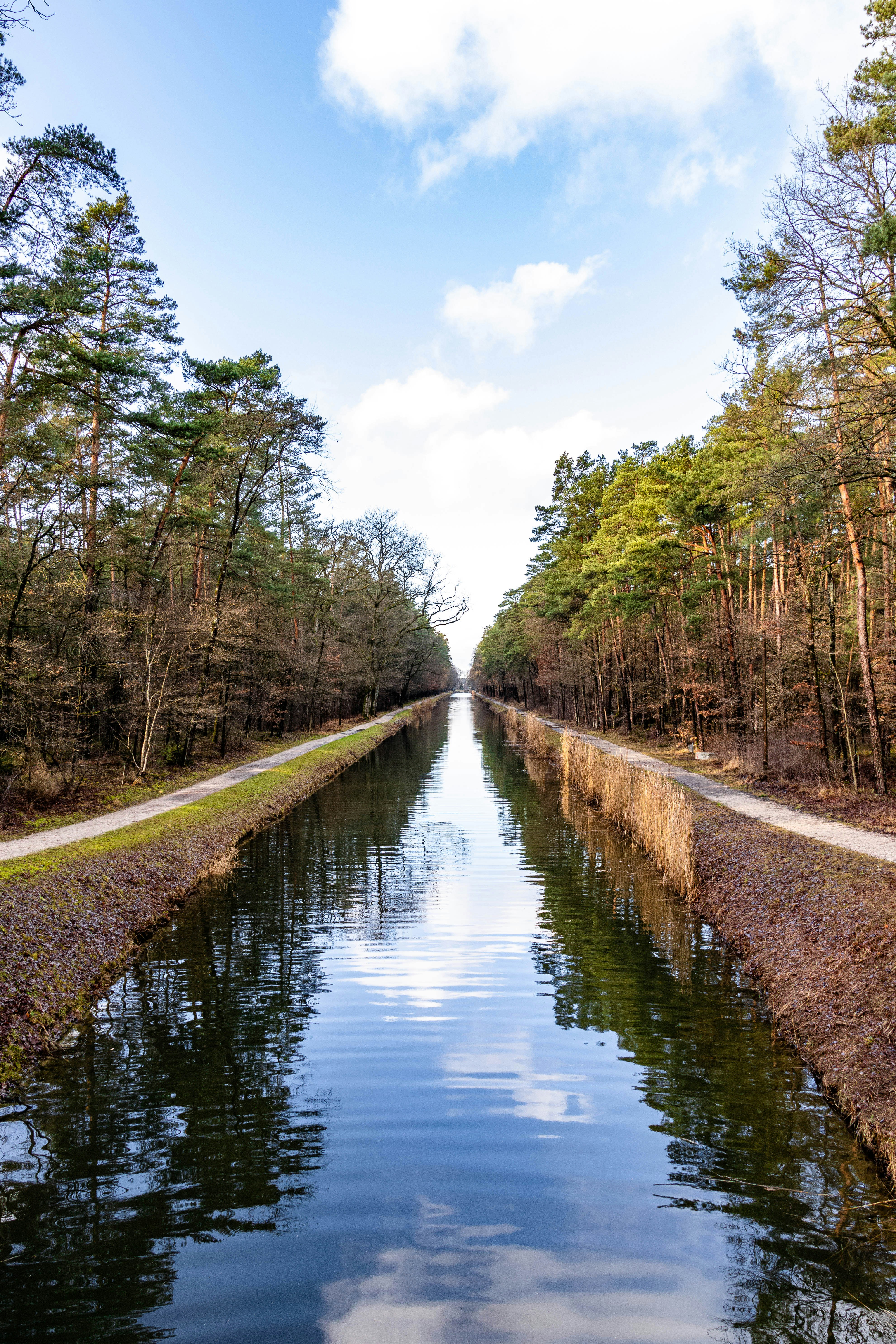 A narrow waterway surrounded by trees and grass photo – Free Straight ...