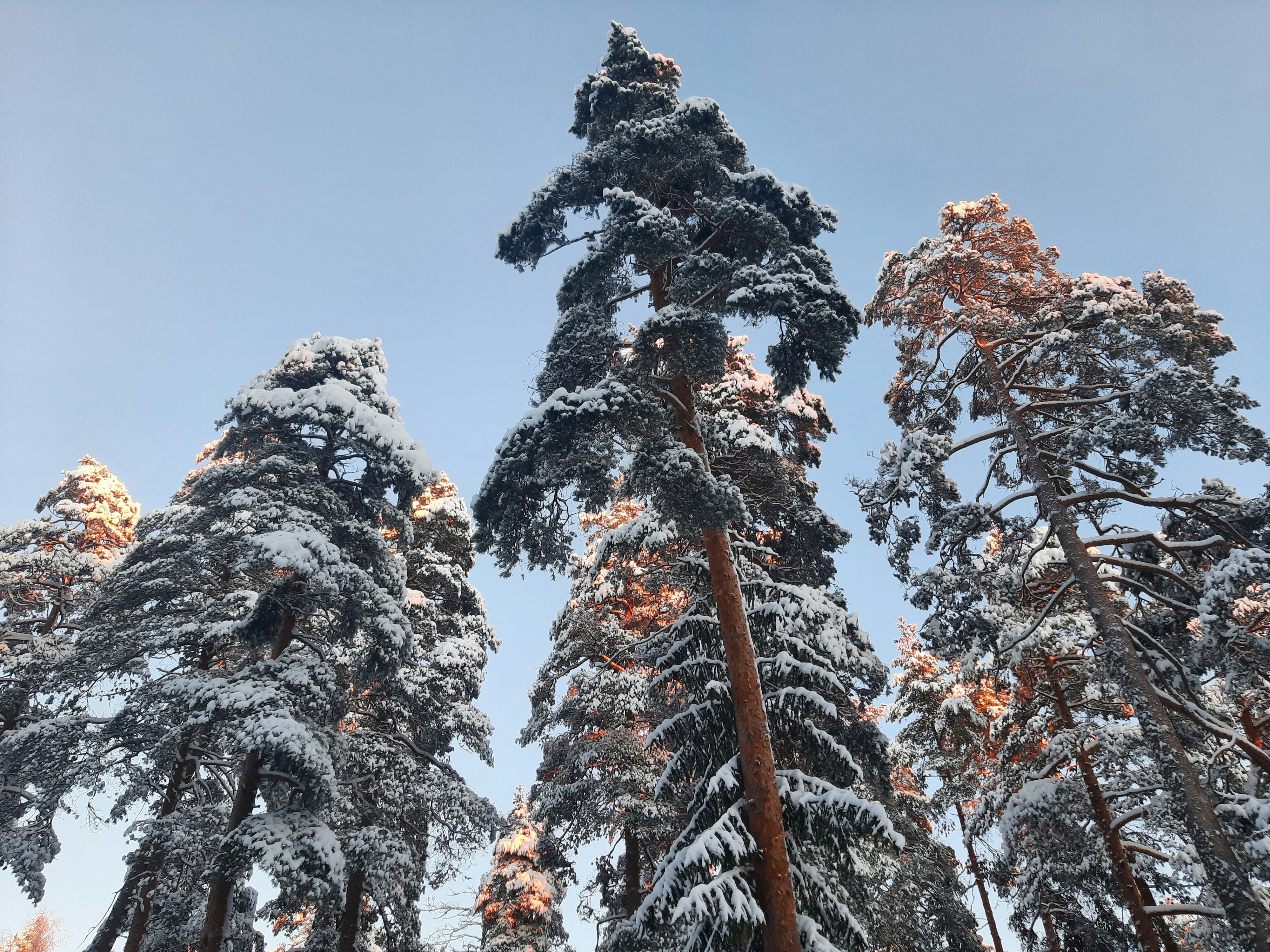 Photo by Raimo Lantelankallio with Samsung Galaxy XCover Pro