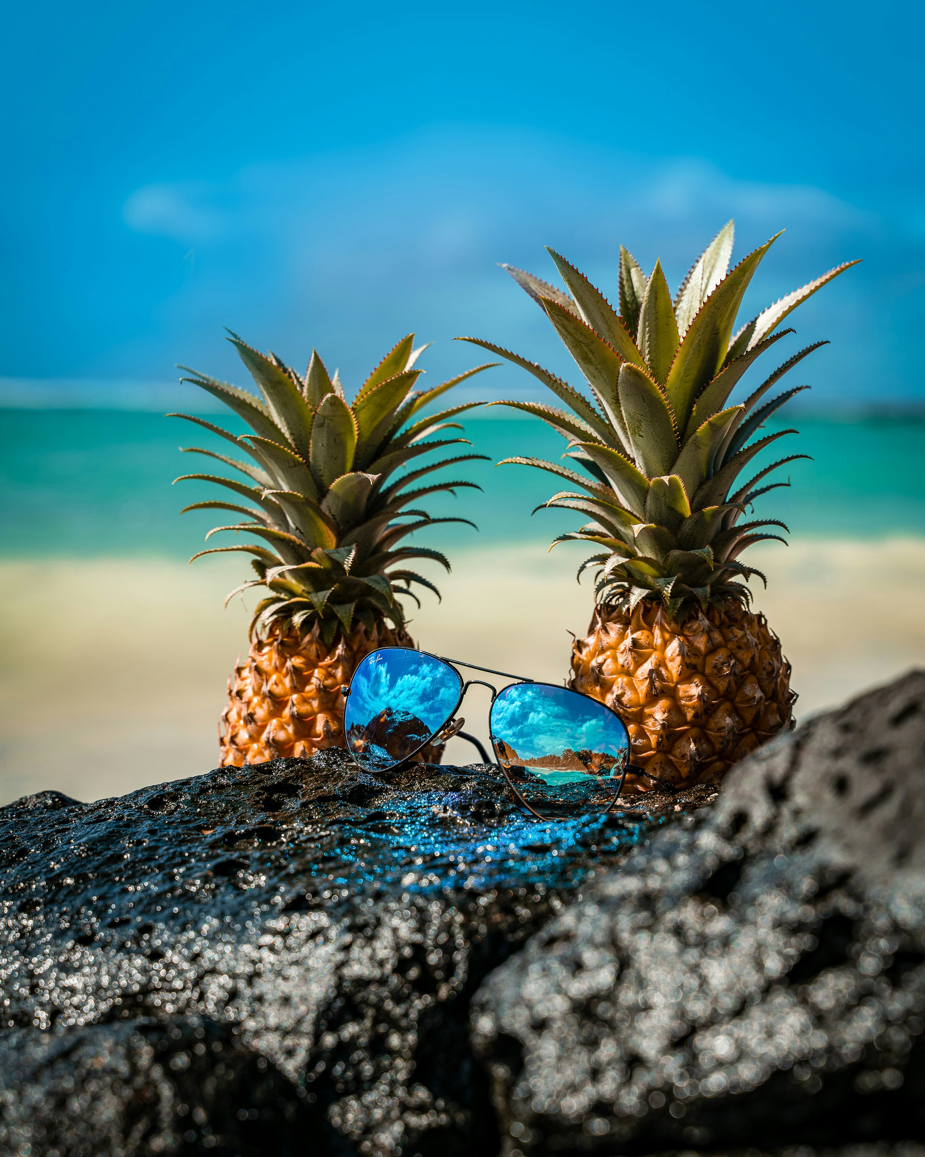 Sunglass Reflections Between Pineapples on Lava Rock by Turquoise Seas
