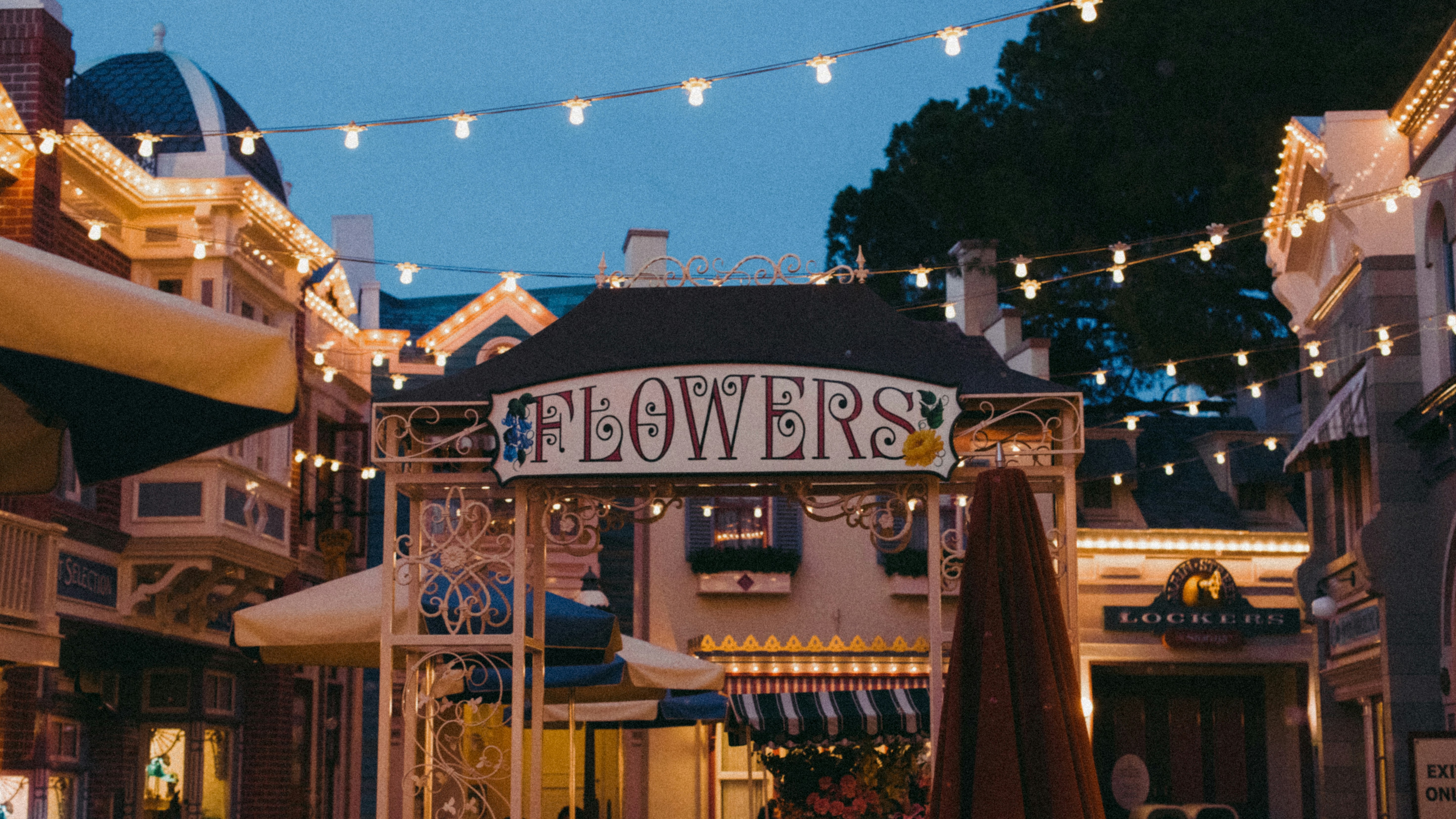 Floral Gate at Dusk: Twilight Market Illuminated by String Lights