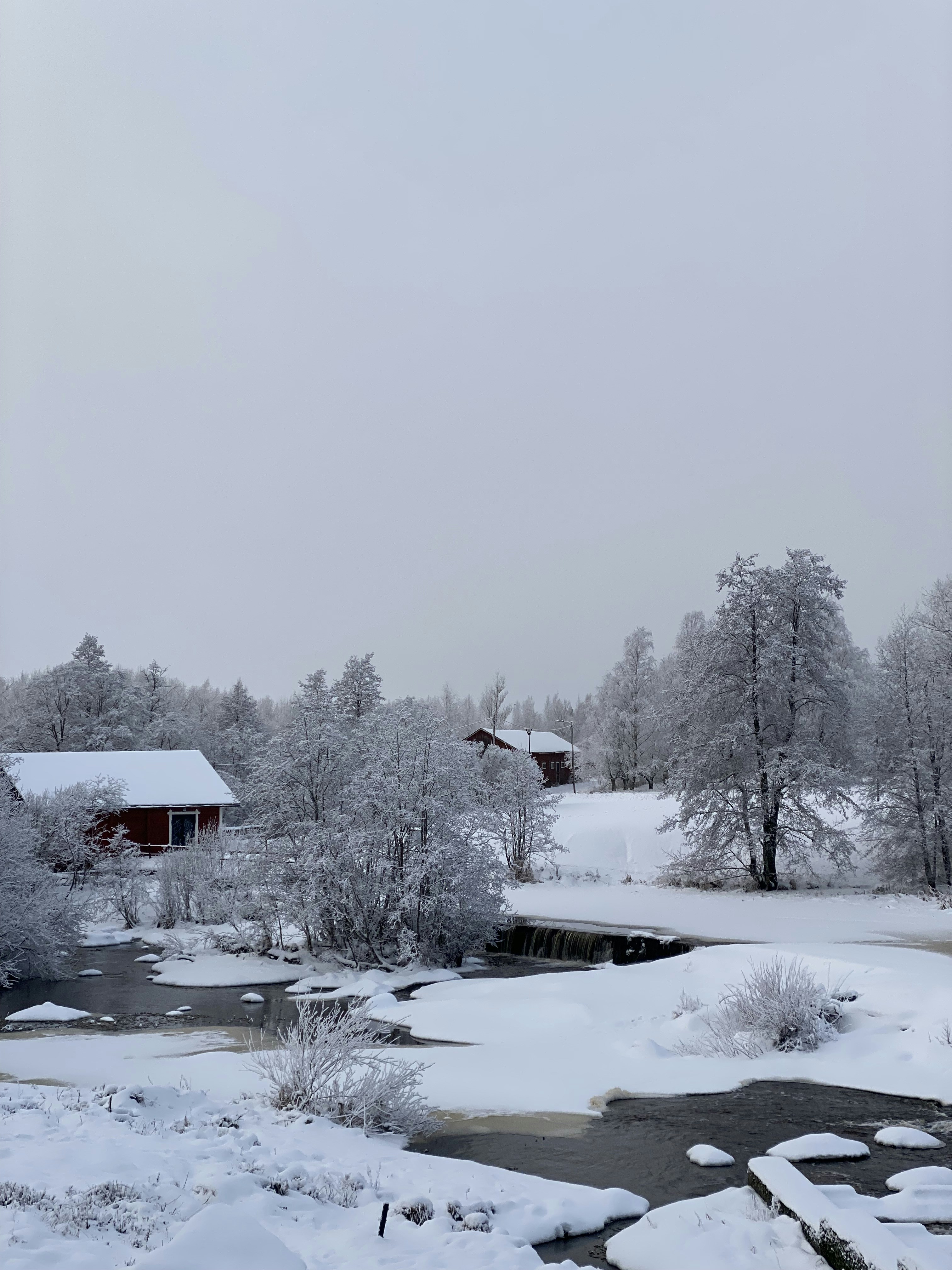Snowbound Village: Quiet Stream Beneath Frosted Pines