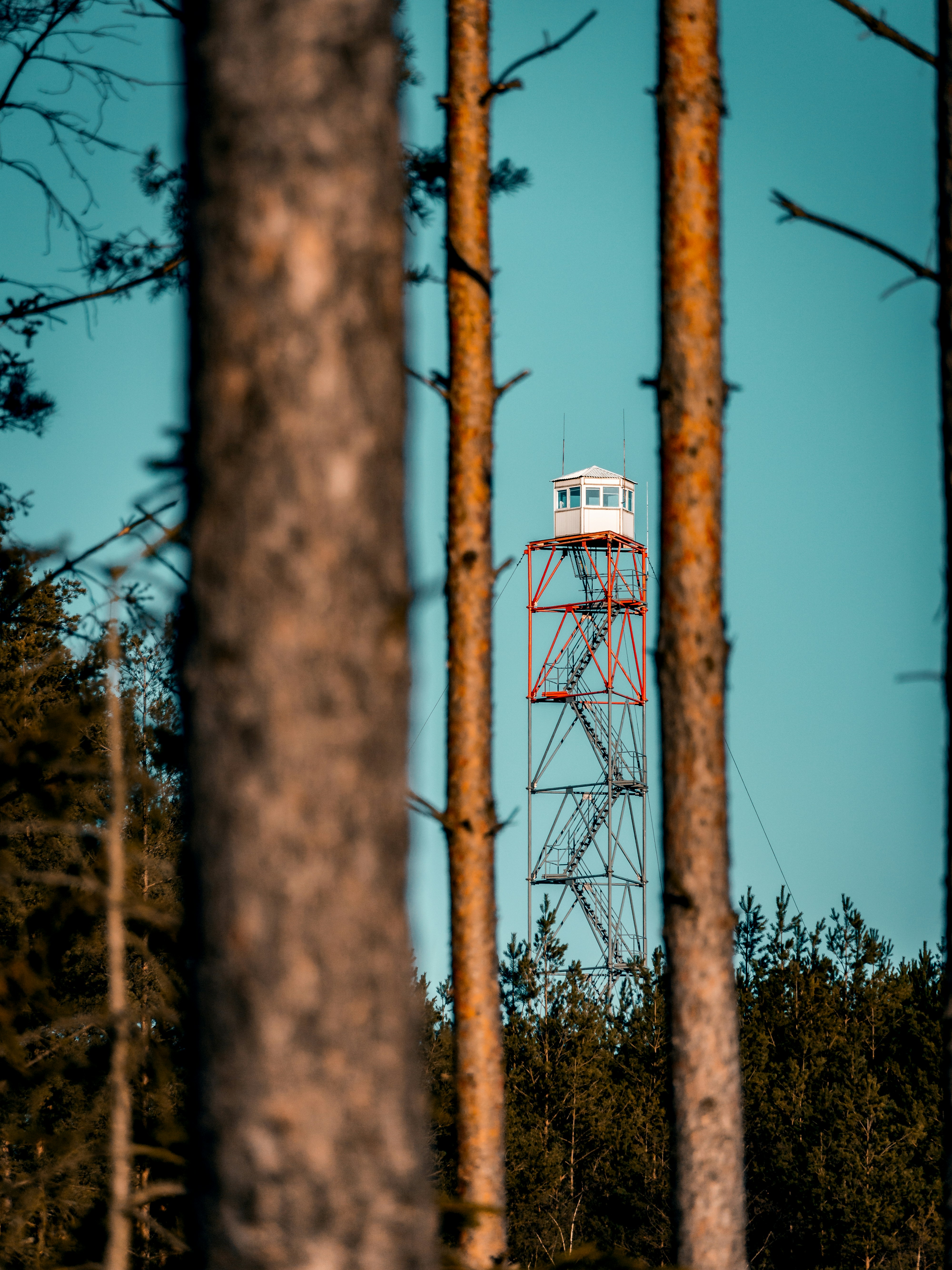 a red and white tower in the middle of a forest