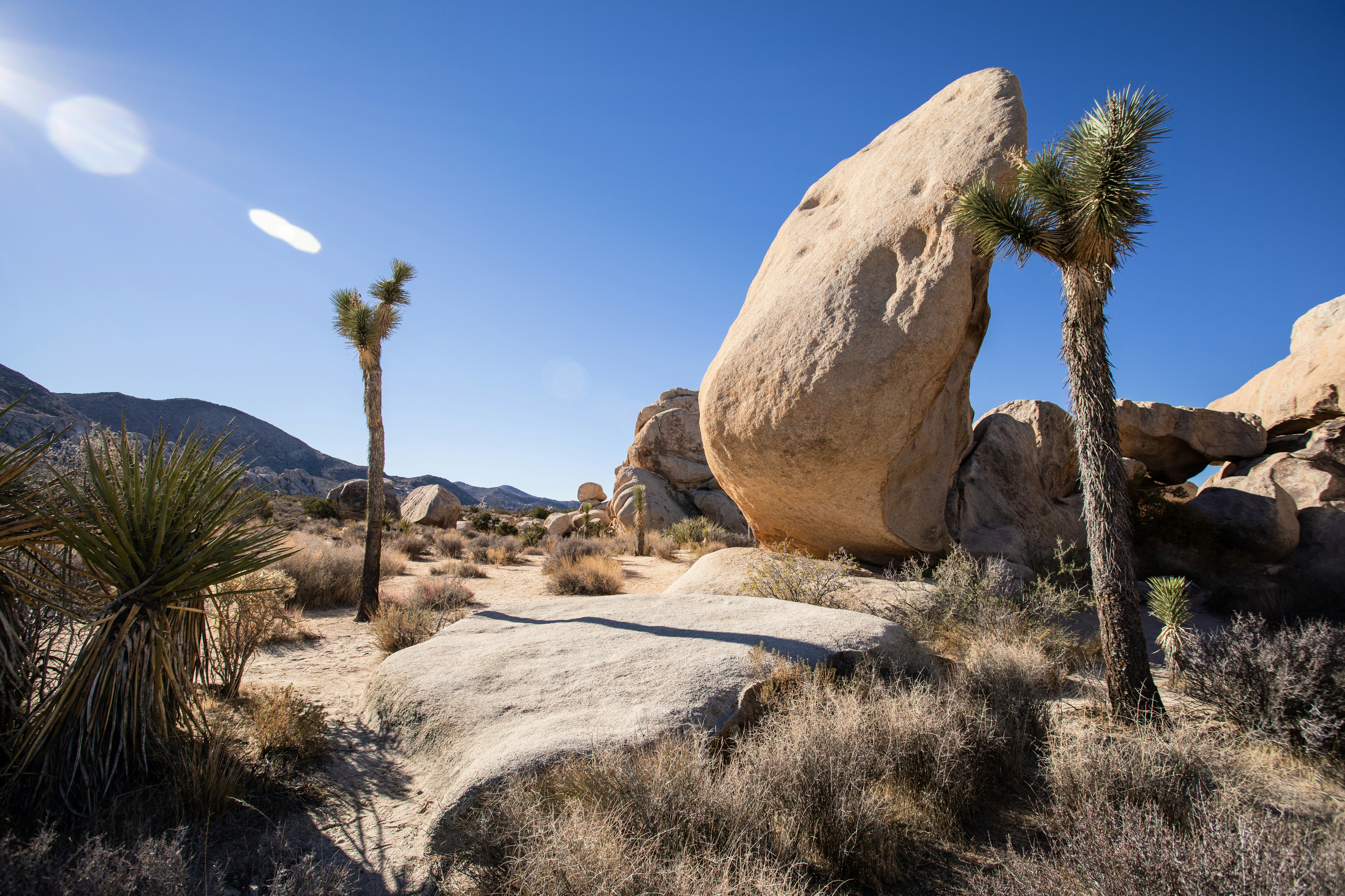 Un gros rocher au milieu d’un désert photo – Photo En plein air ...