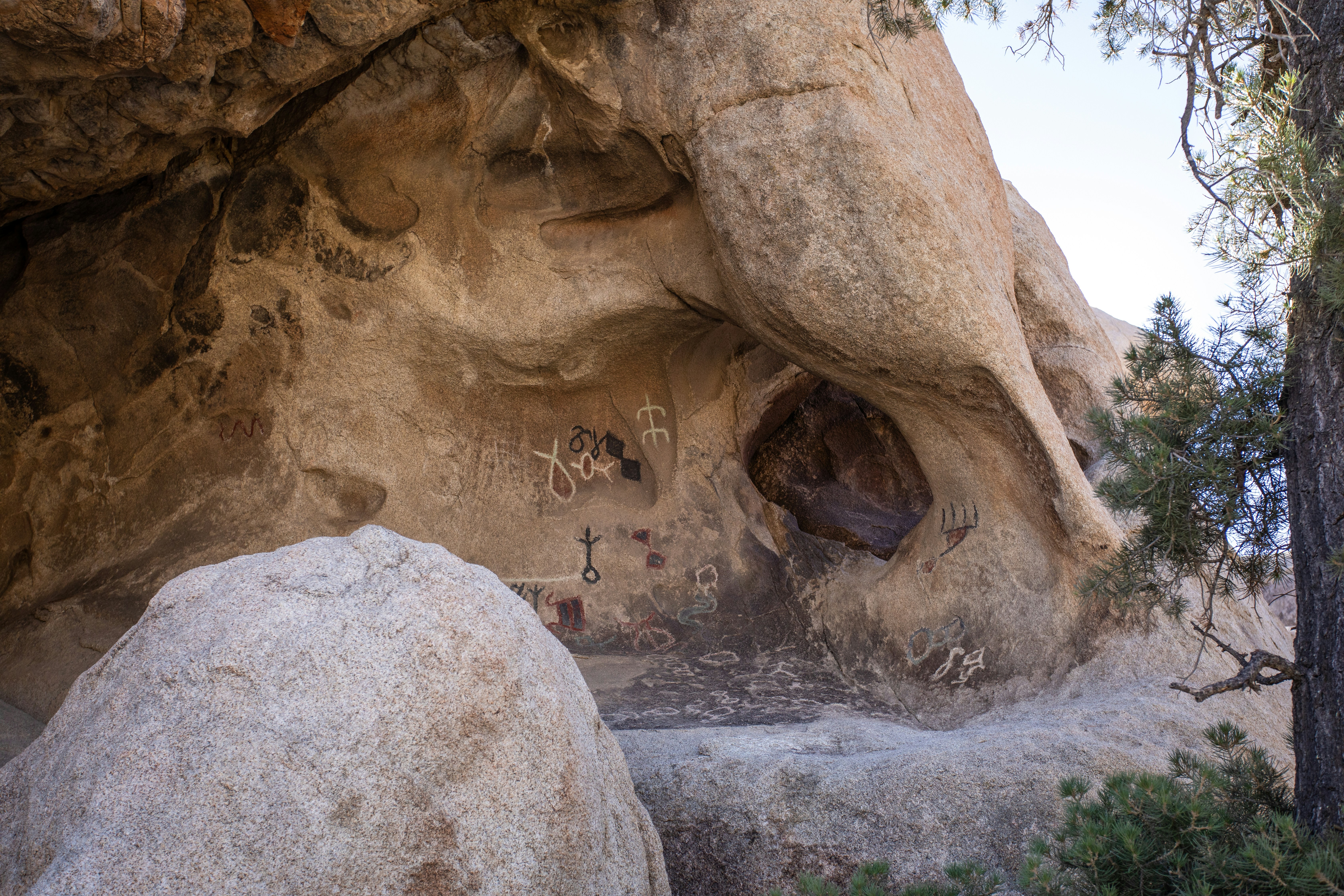 Echoes on Stone: Petroglyphs in a Shadowed Canyon Alcove