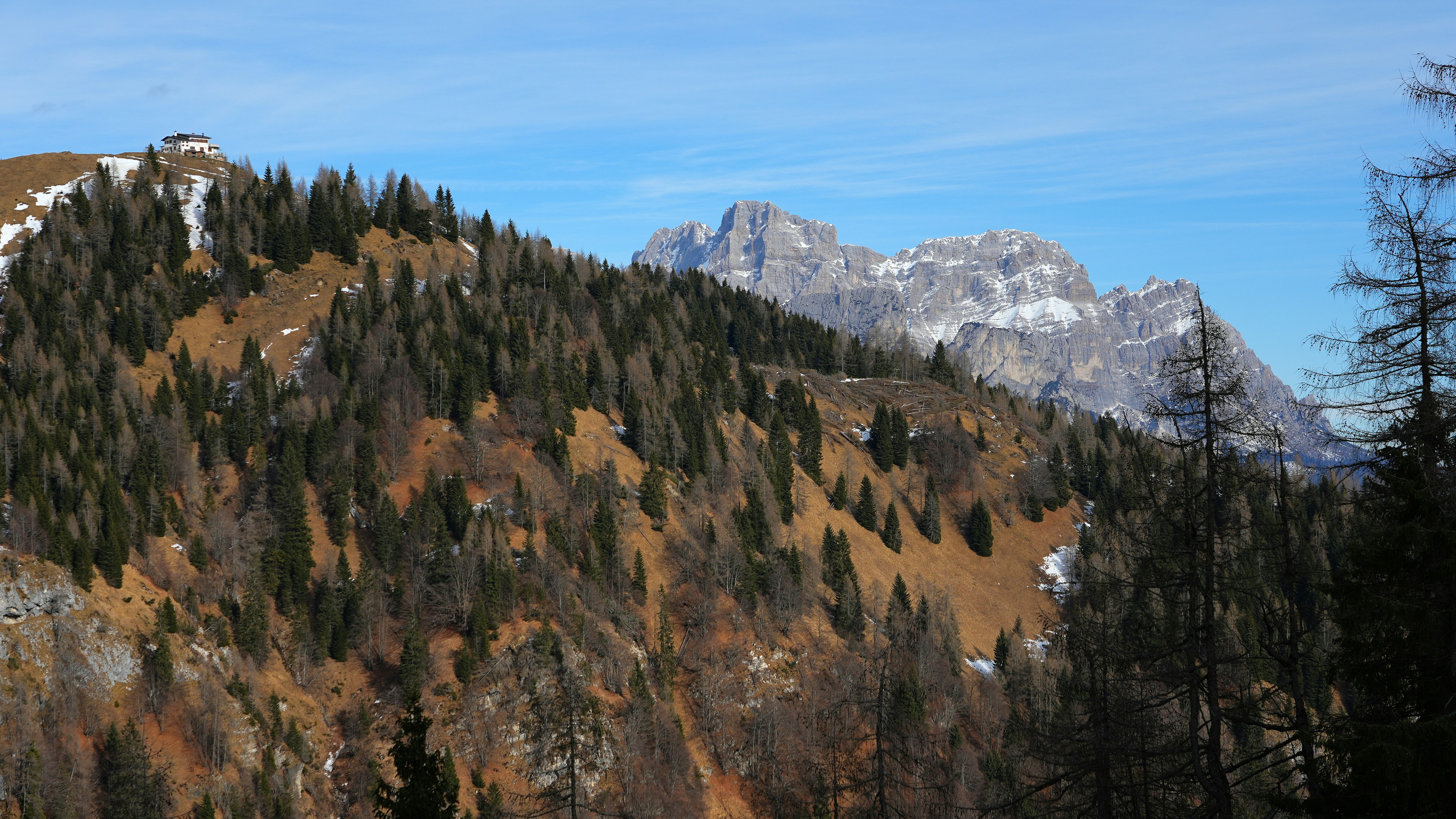Alpine Crest: Snow-Dusted Peaks Framing a Forested Slope