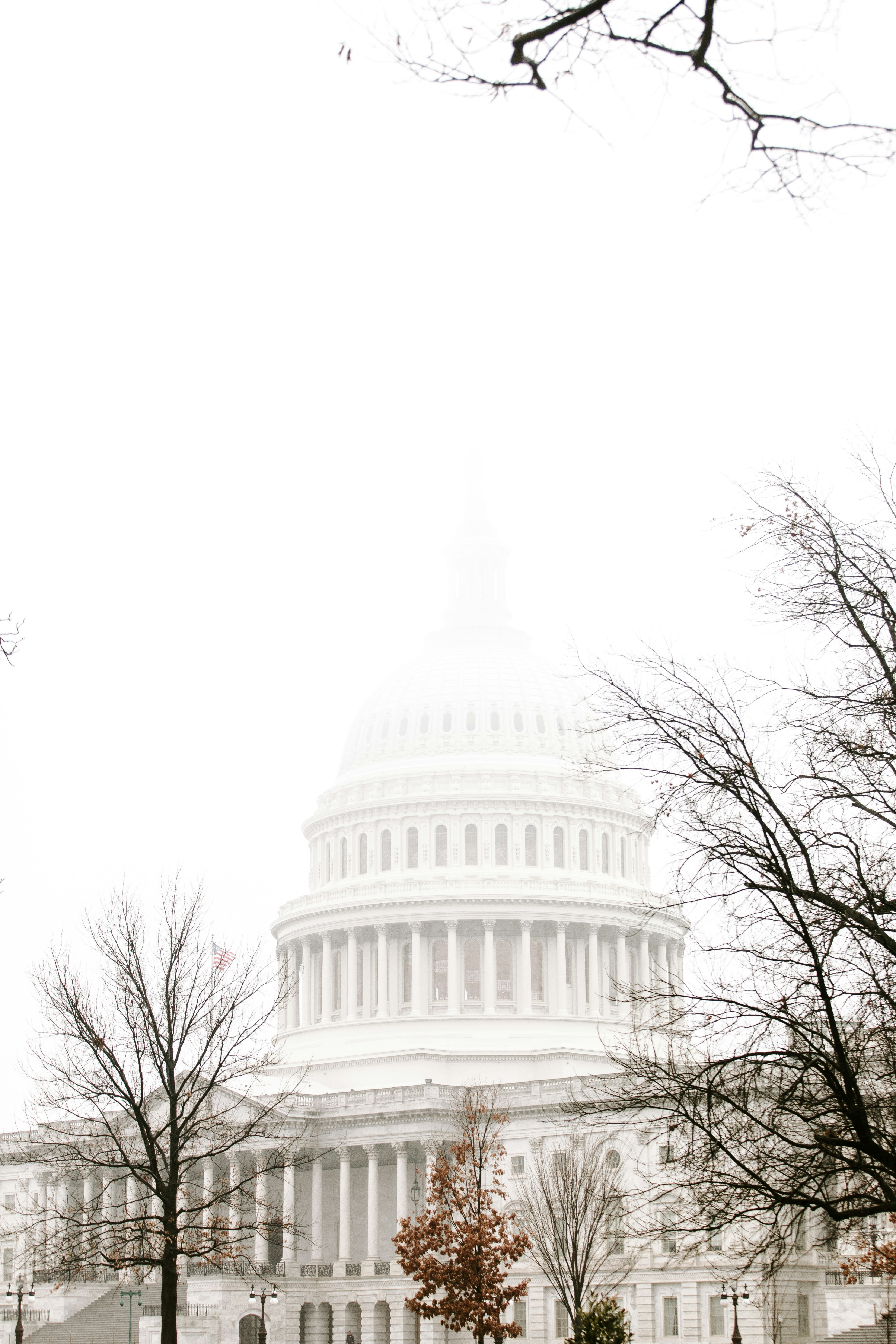 Mist-Washed Capitol Dome in Winter Light