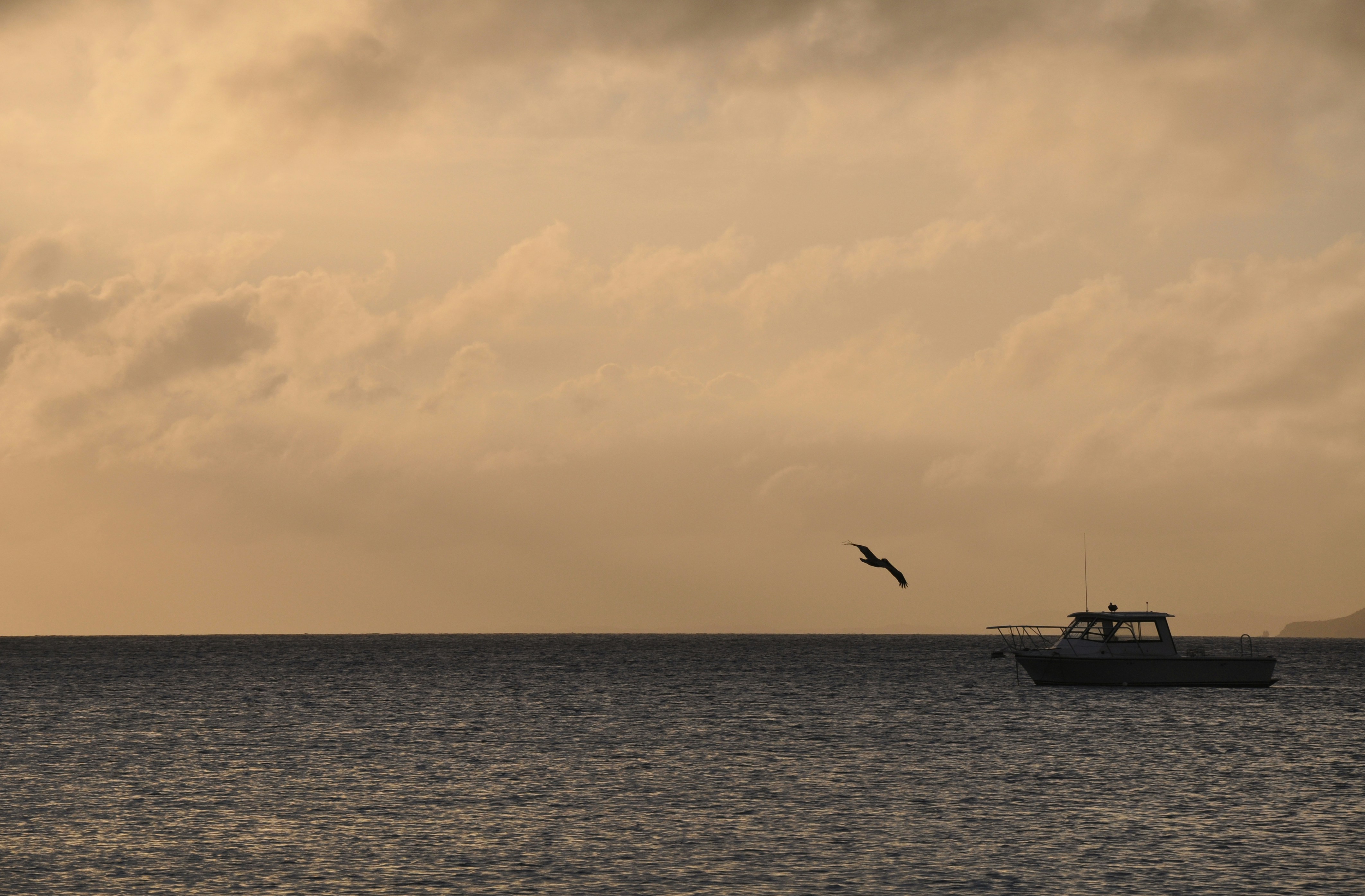 Horizon Vessel at Dusk: A Quiet Portrait of Sea, Sky, and Flight