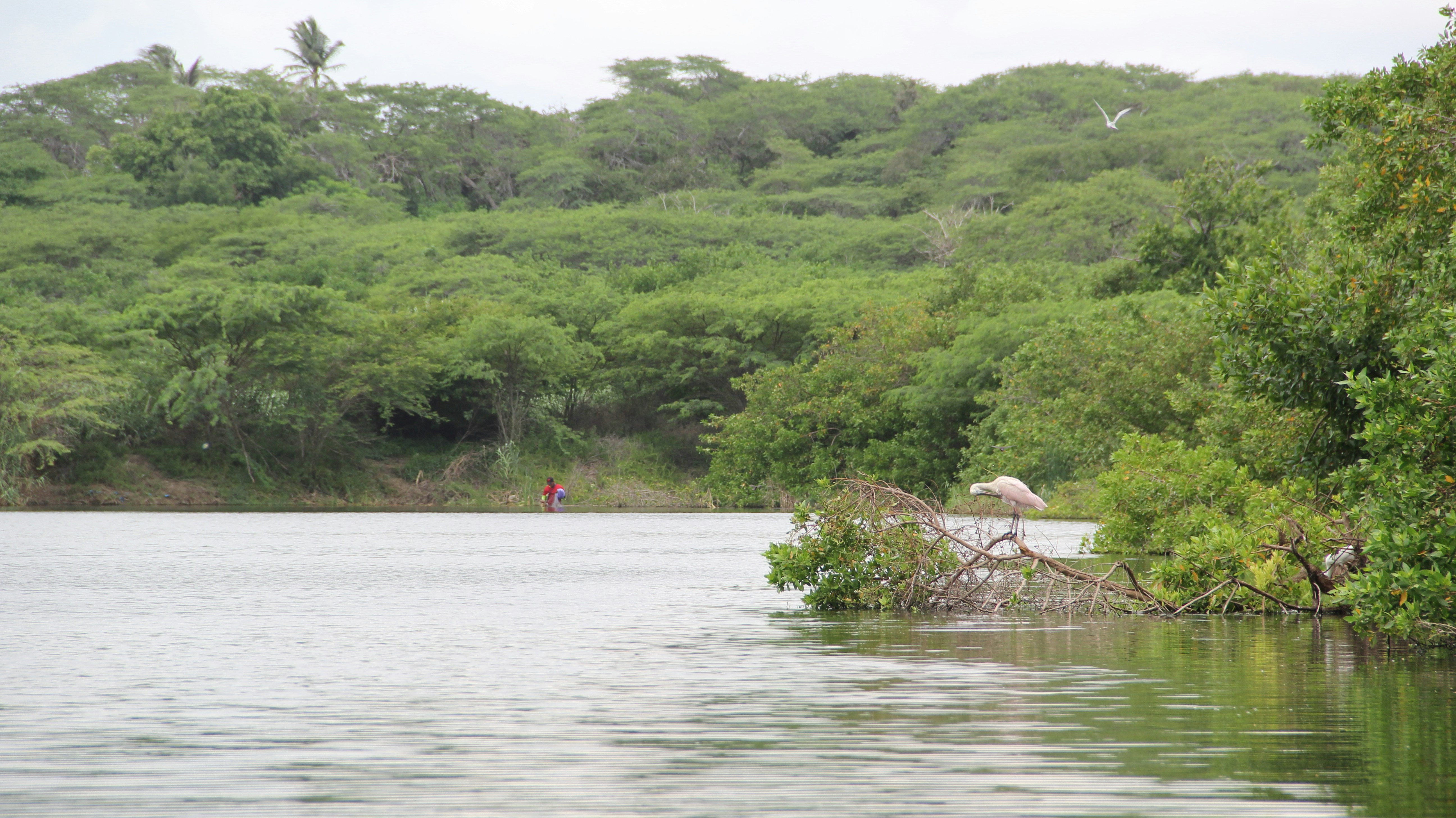 Harmony at the Water's Edge