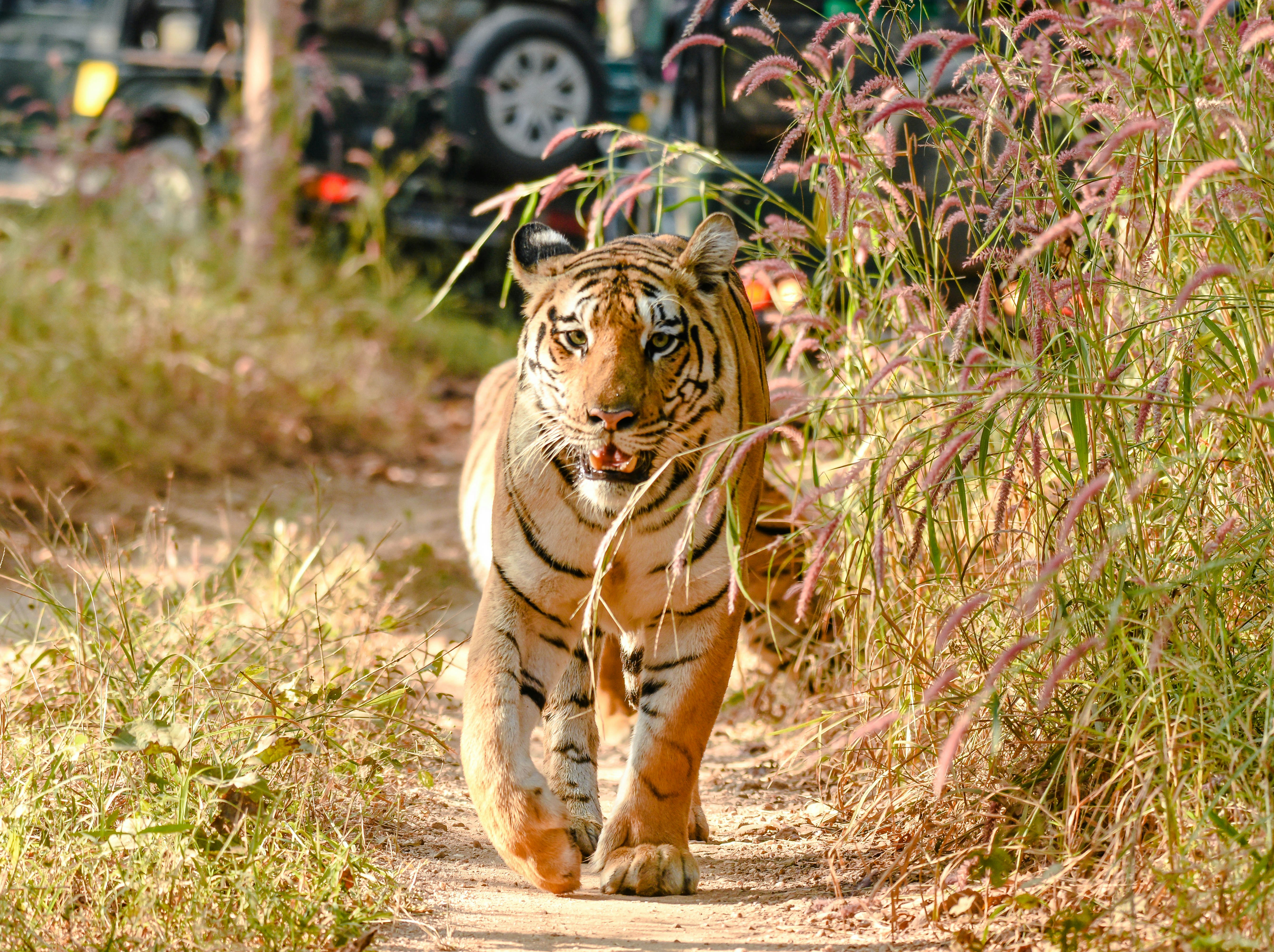 Photo by RAHUL DESHMUKH with Nikon D7200