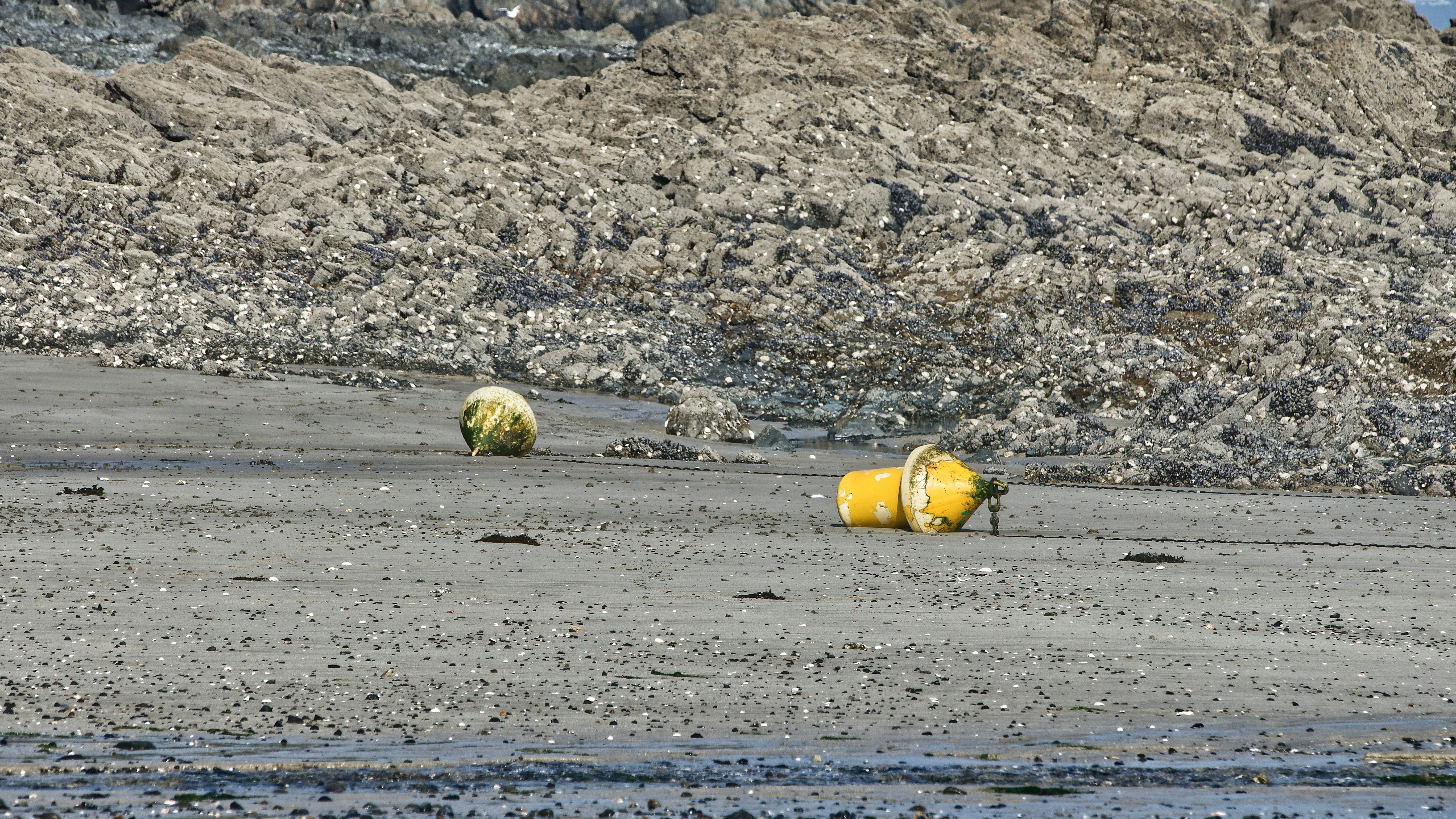 A couple of yellow fire hydrants sitting on top of a sandy beach photo ...