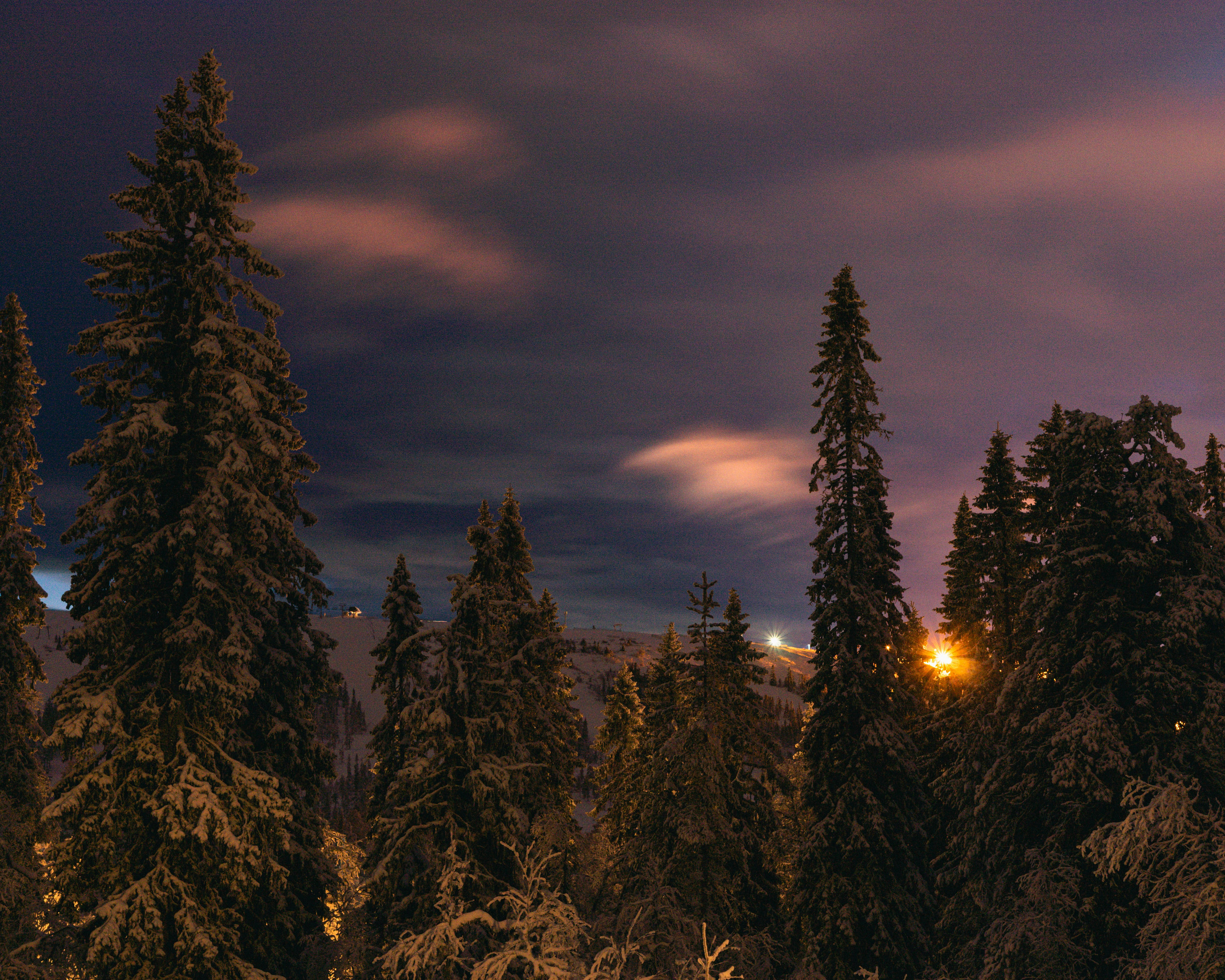 Snow-covered pine trees silhouetted against a twilight sky with soft clouds and distant lights. The scene evokes a serene winter landscape.
