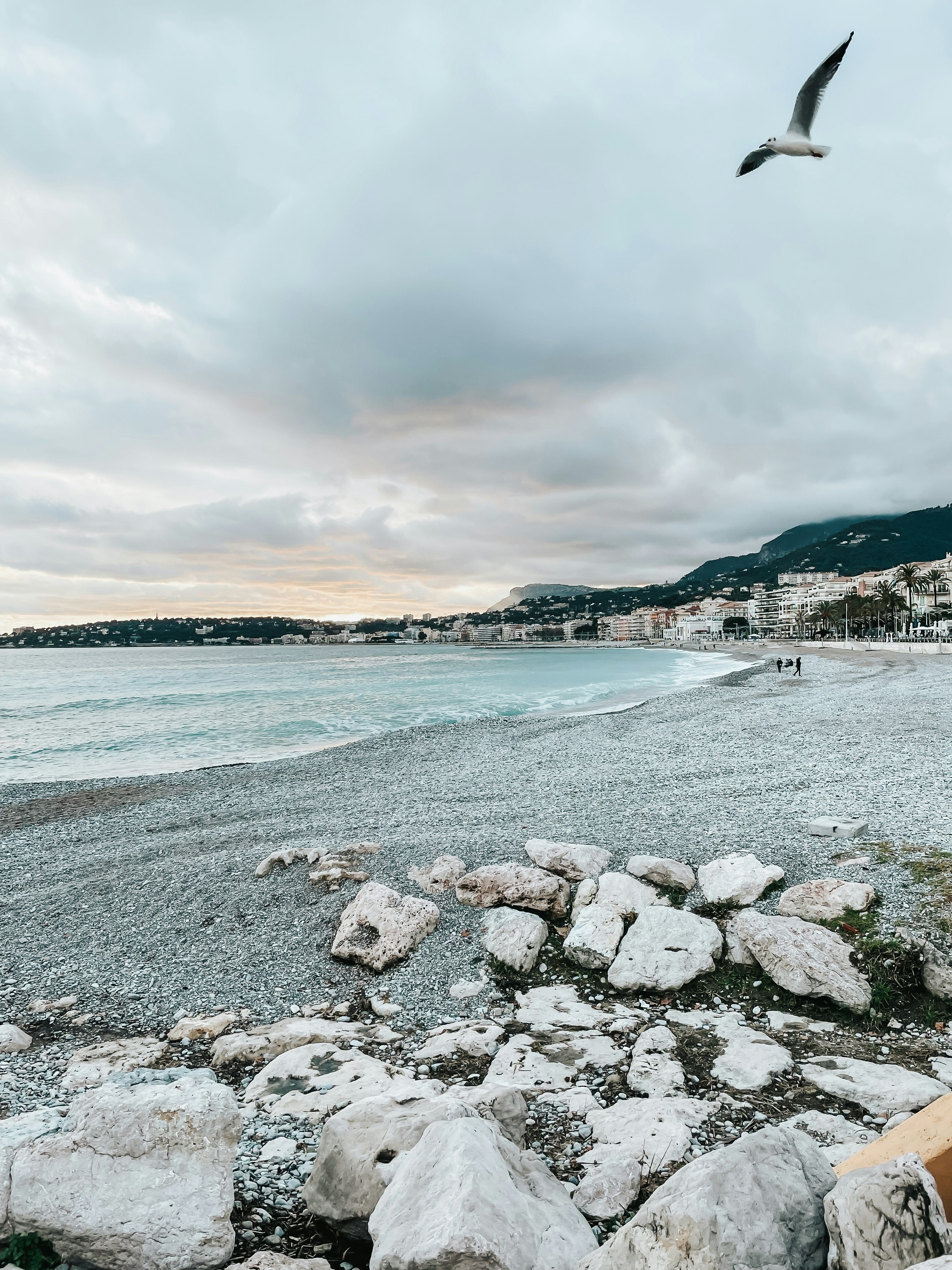 Un oiseau survolant une plage rocheuse au bord de l’océan photo – Photo ...