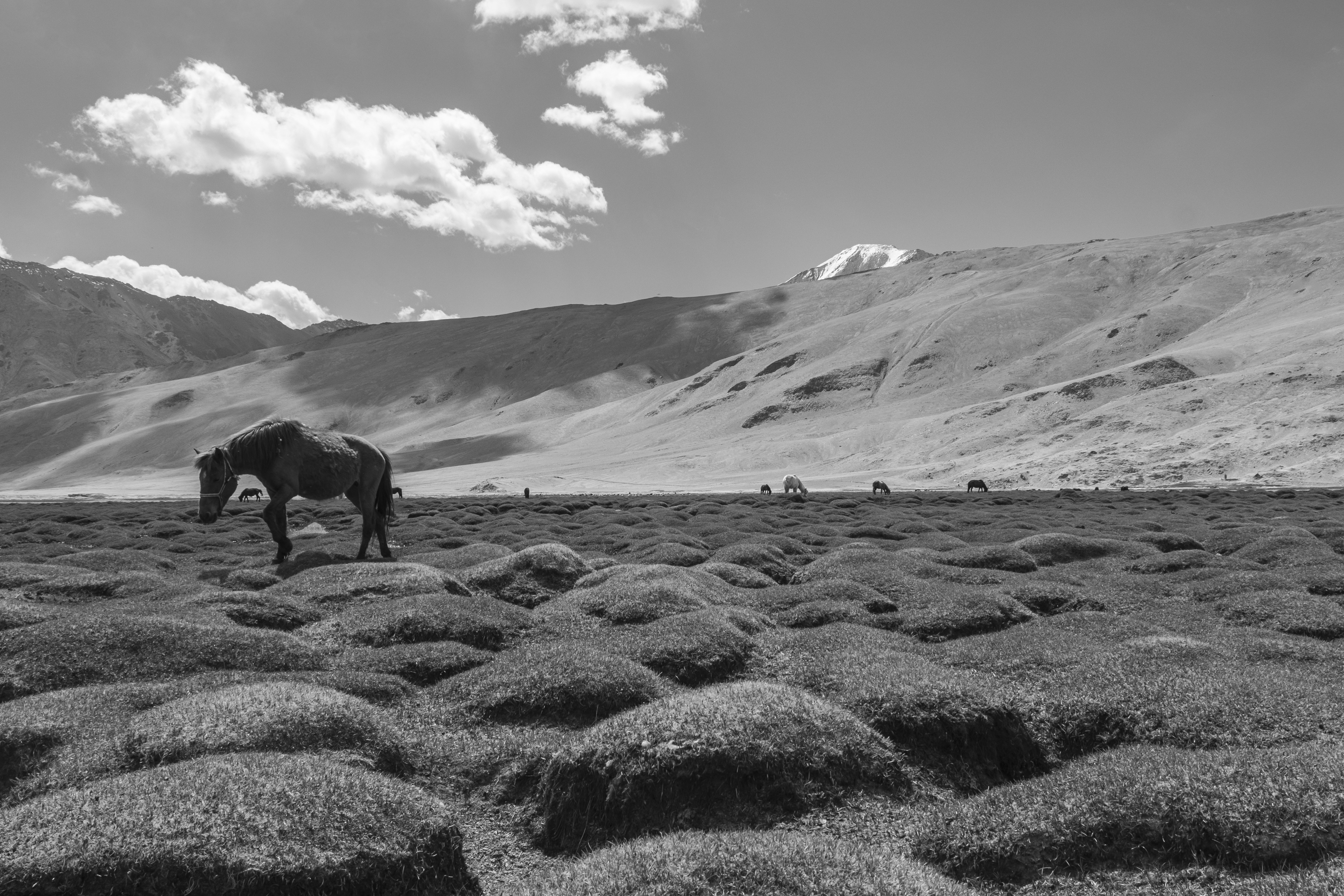 Lara Lone (@laralone) | Comunidad de fotos de Unsplash