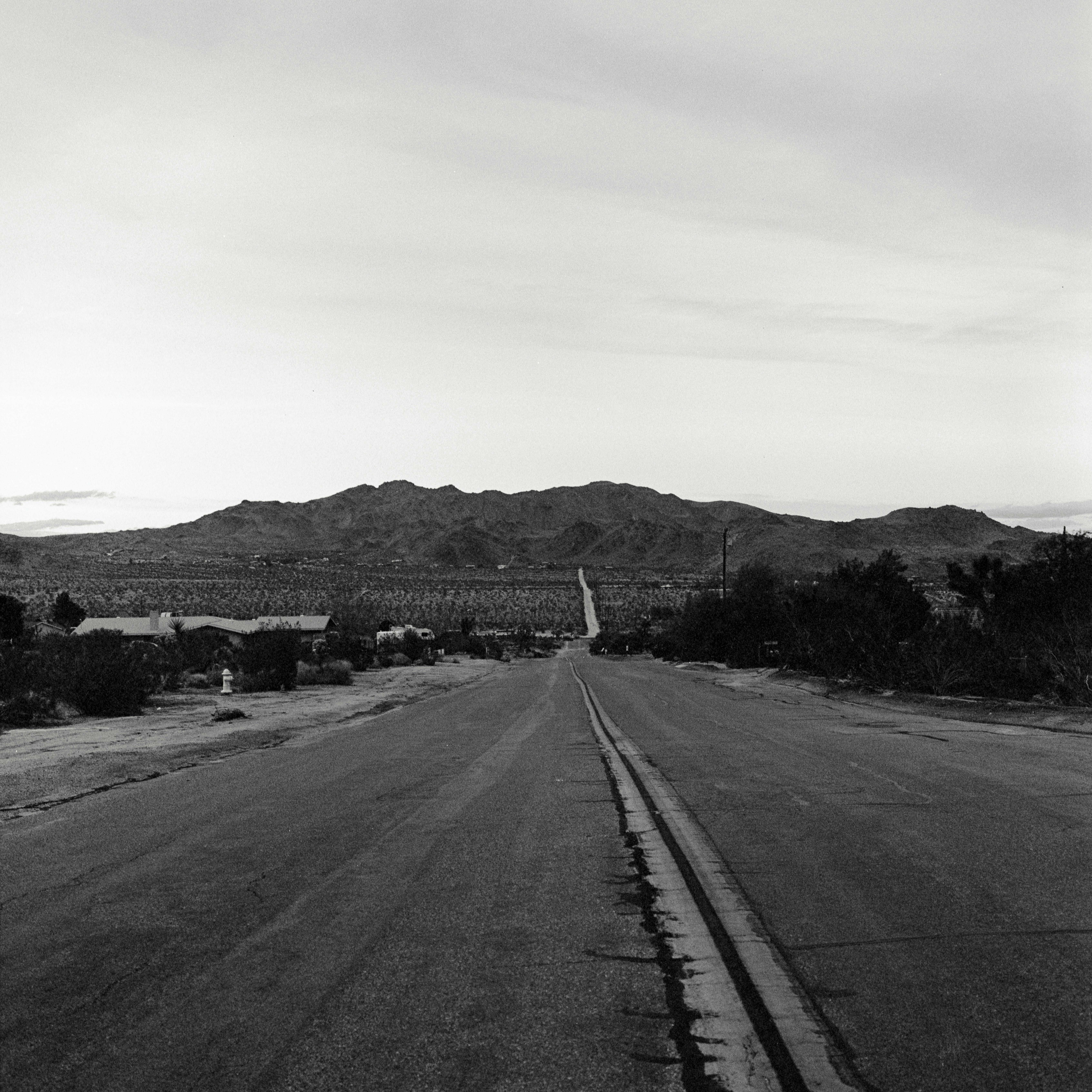 An empty desert road stretches toward distant mountains under a soft sky, capturing the essence of solitude and vastness.