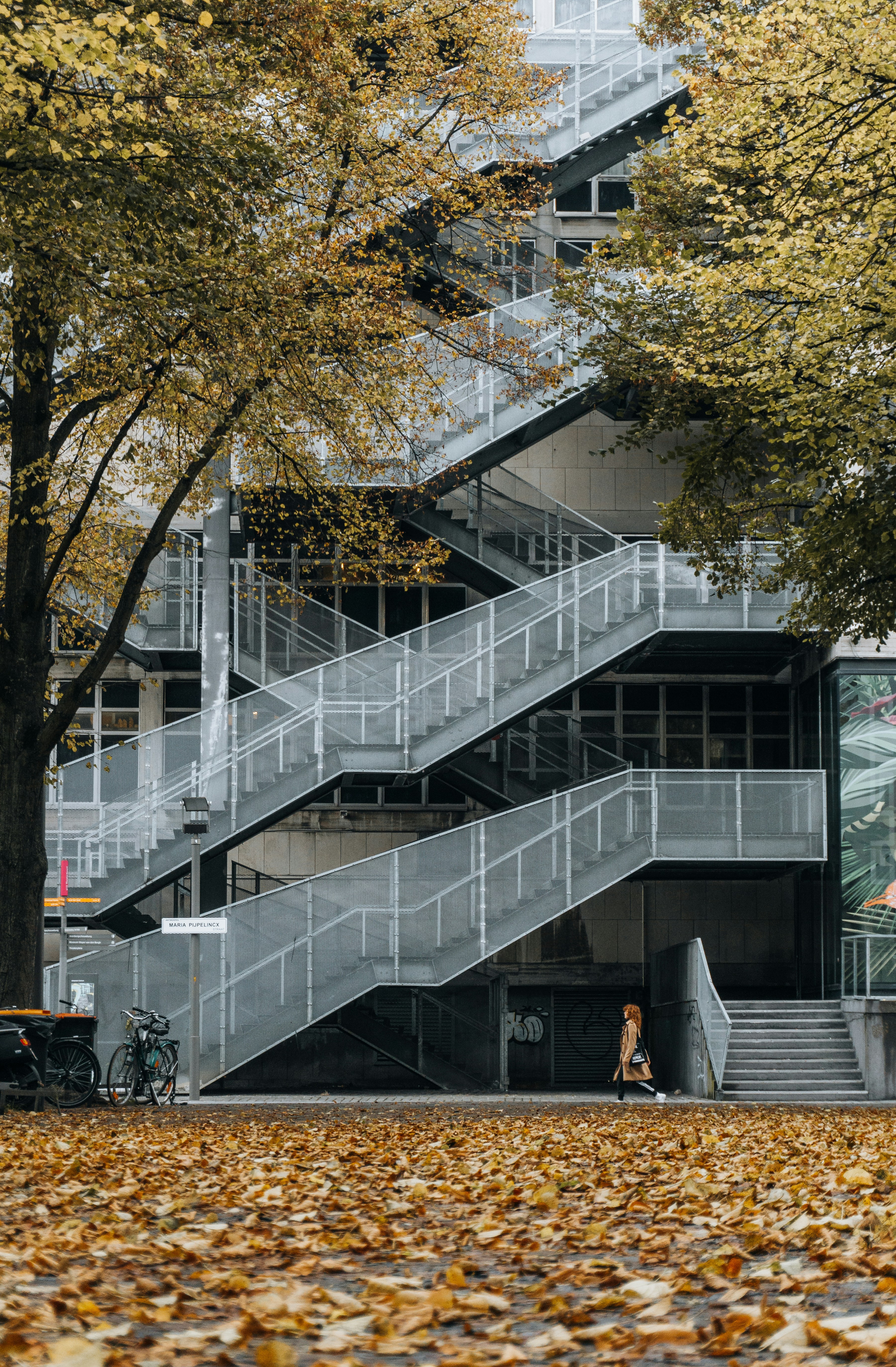 Staircase Lattice in Autumn Light: Urban Geometry Framed by Leaves