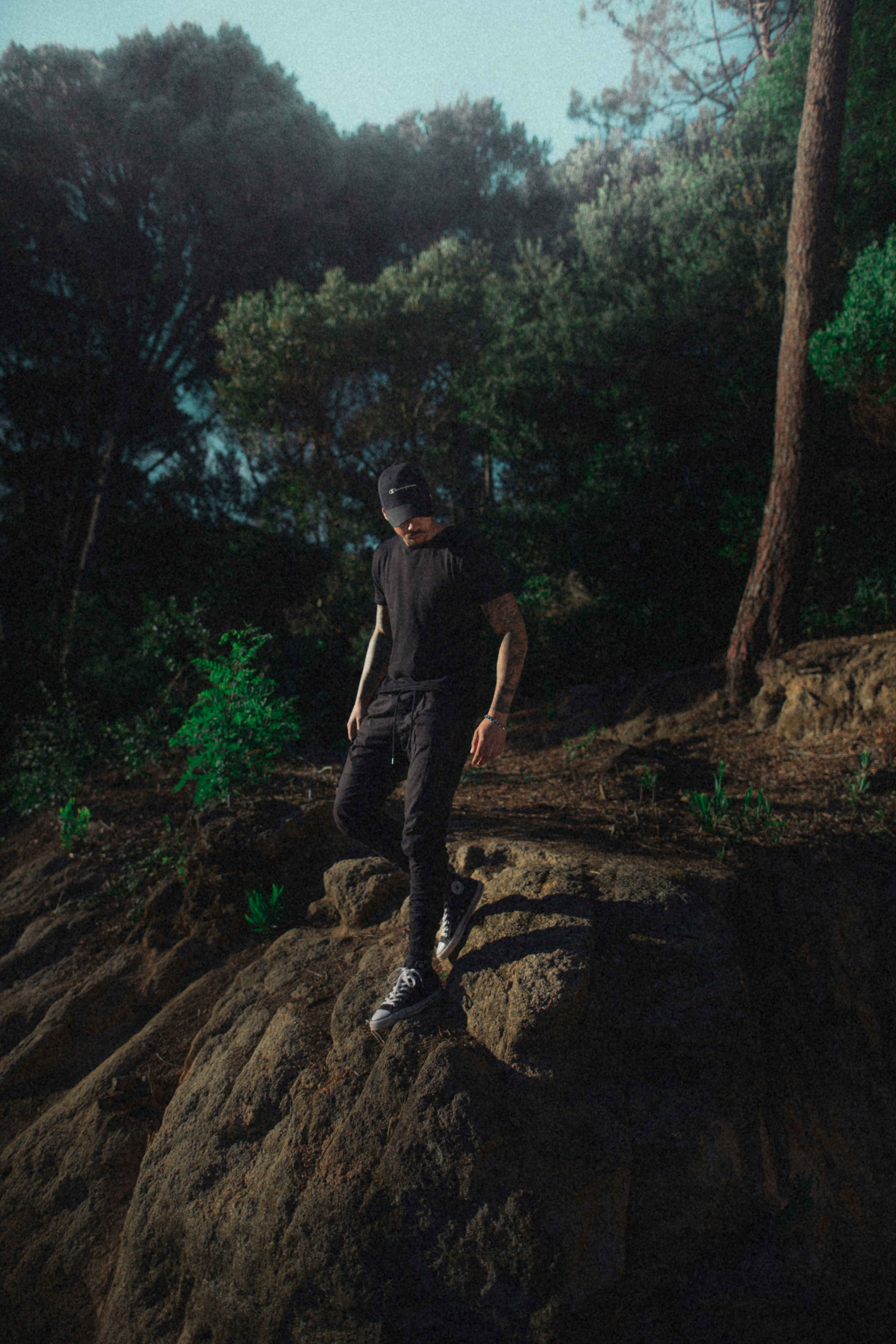 Lone Climber on a Mossy Ridge Beneath a Shadowed Forest Canopy
