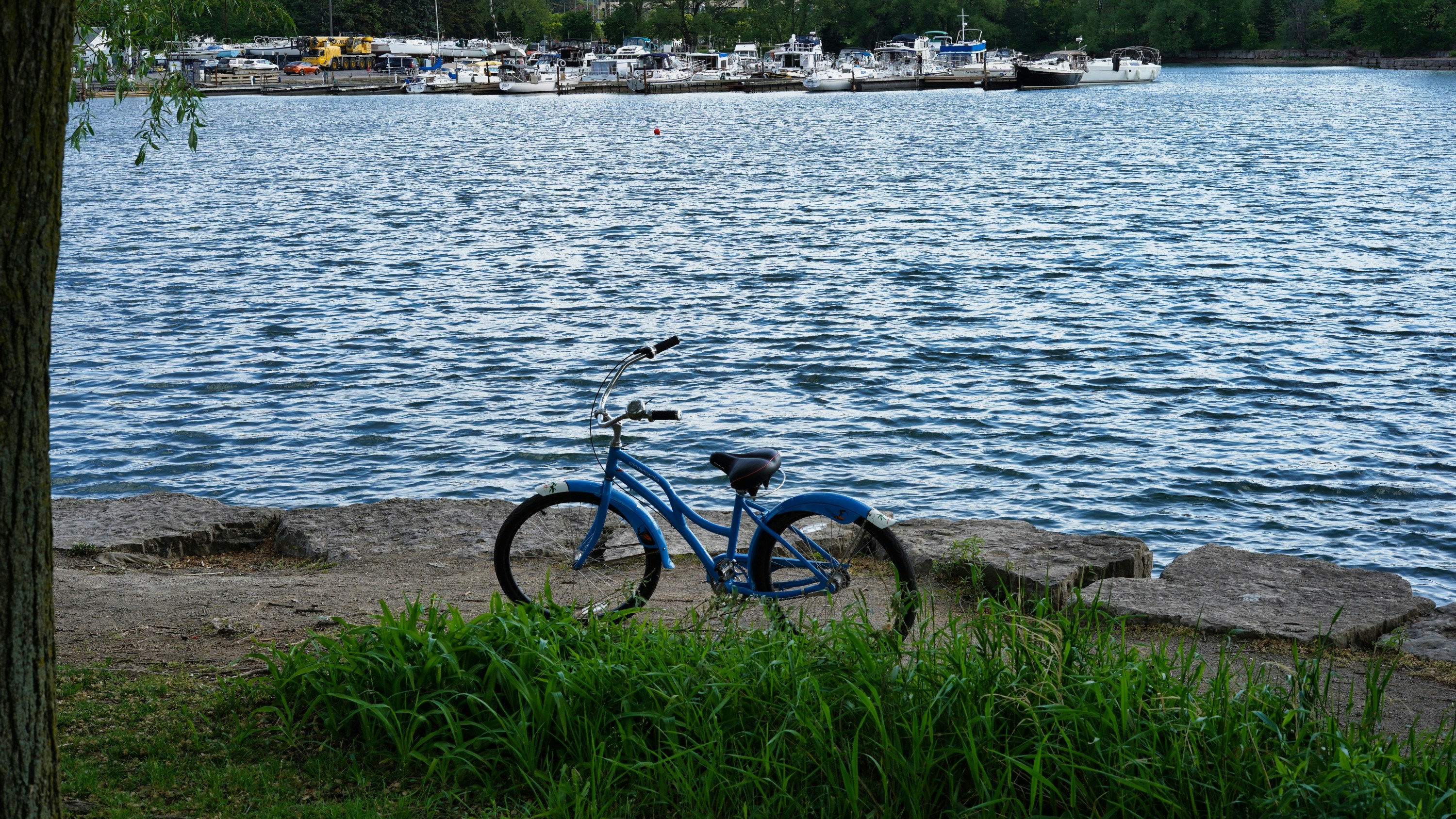 Darin Martin (@darinmartin76) | Komunitas Foto Unsplash