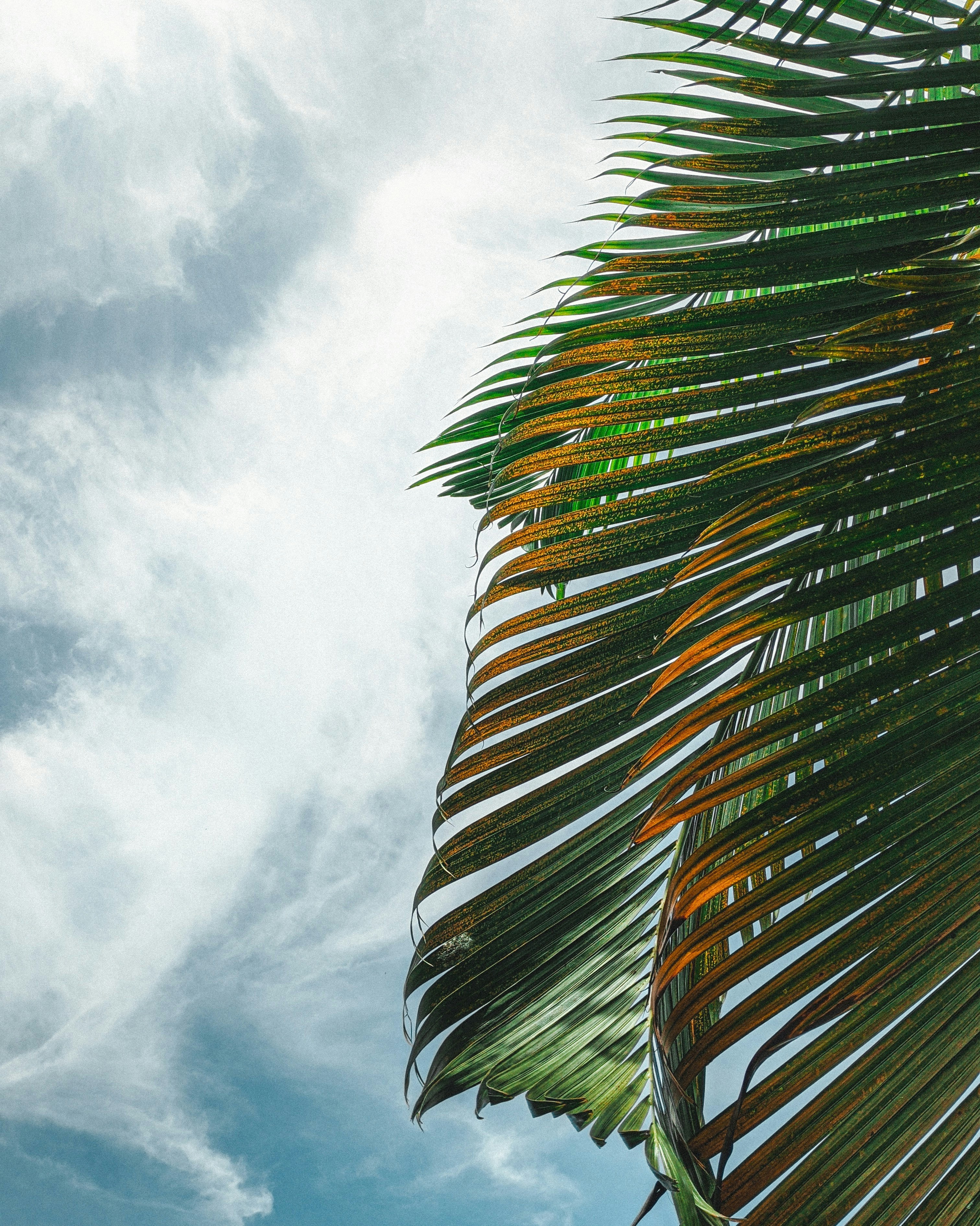 Boho Tumblr Backgrounds