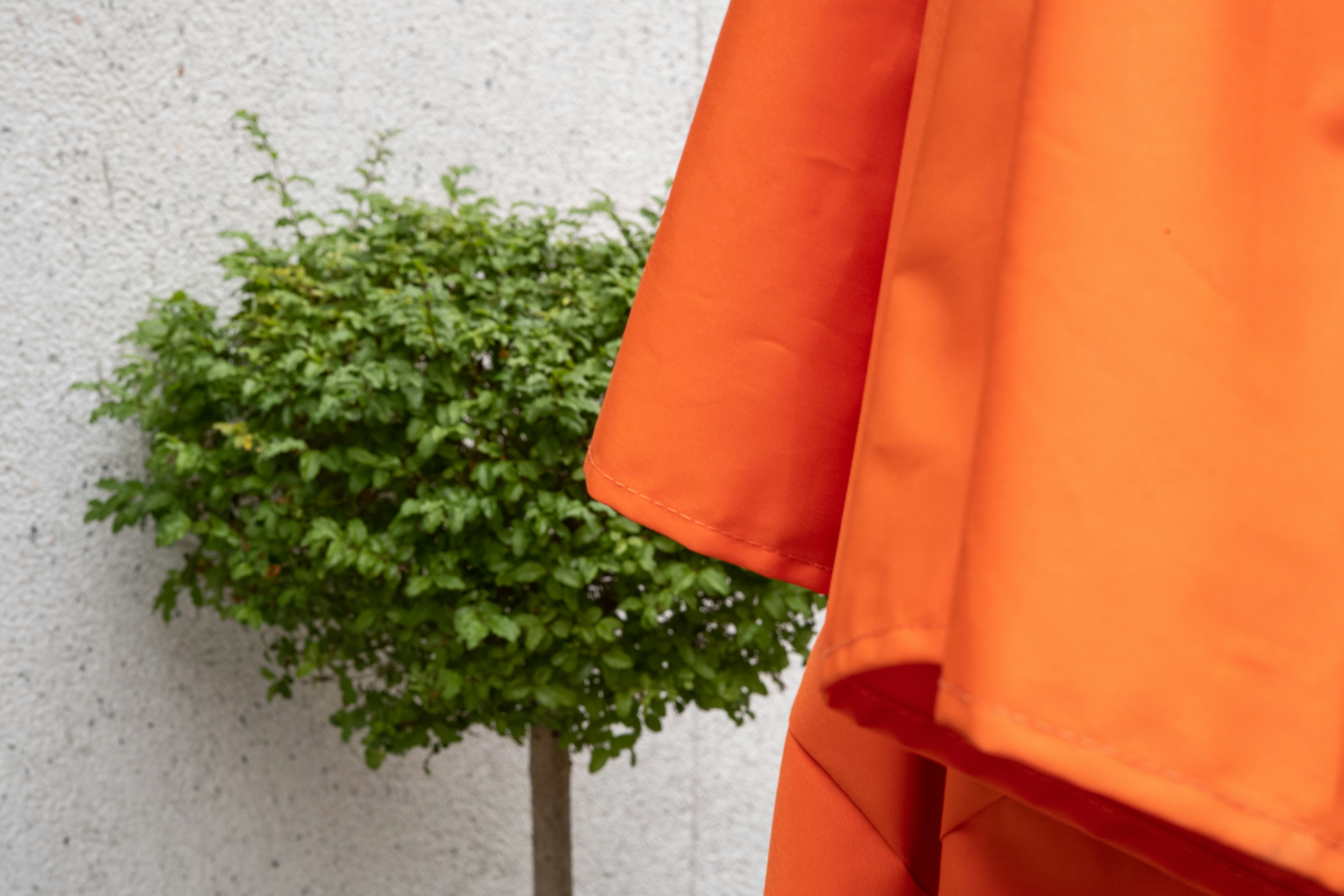 Urban Contrast: Green Shrub Framed by a Cascade of Orange Drapery