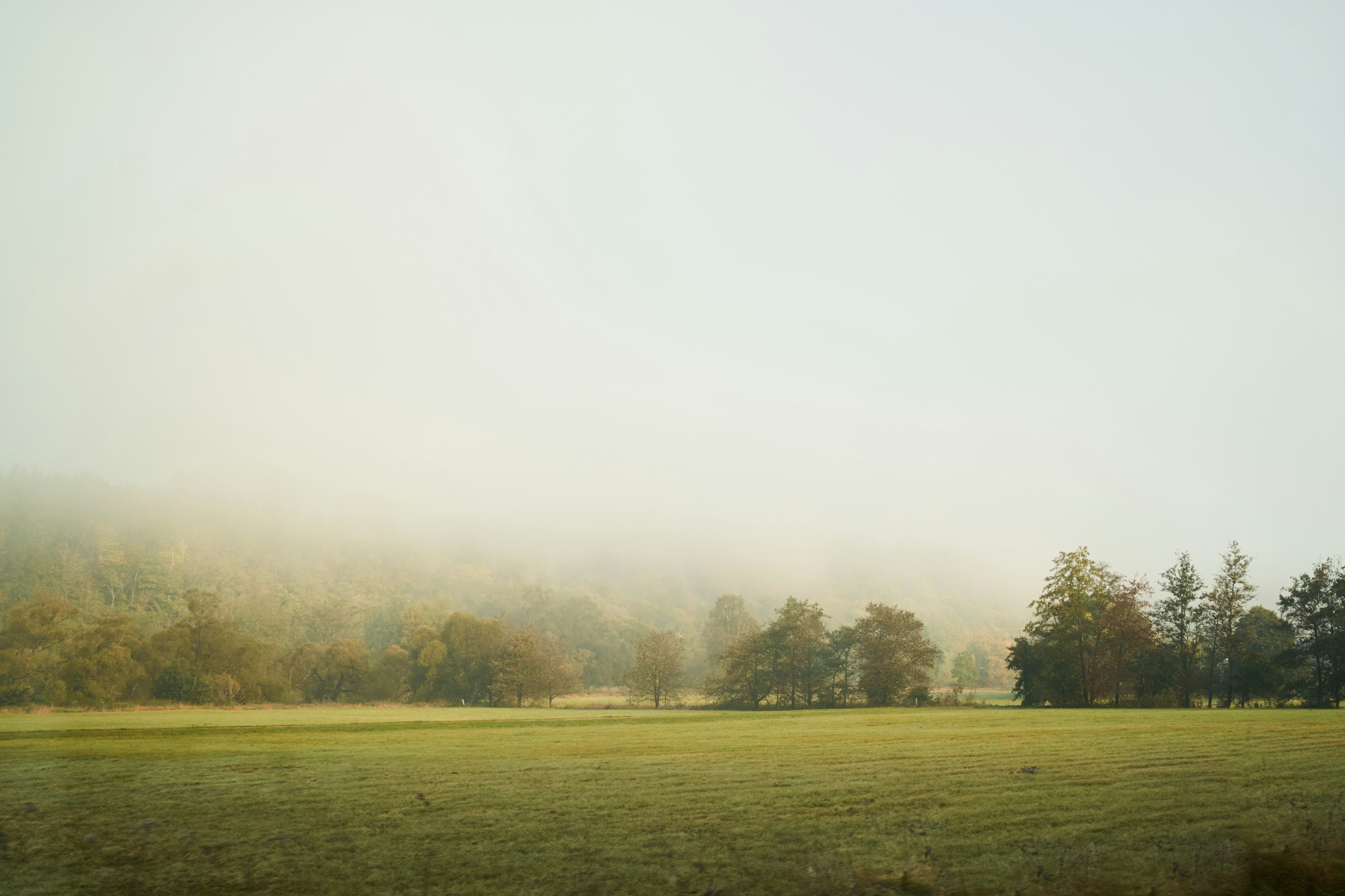 A serene landscape showcasing a fog-laden meadow with soft hues of green and distant trees fading into the mist. The atmosphere evokes a sense of tranquility.