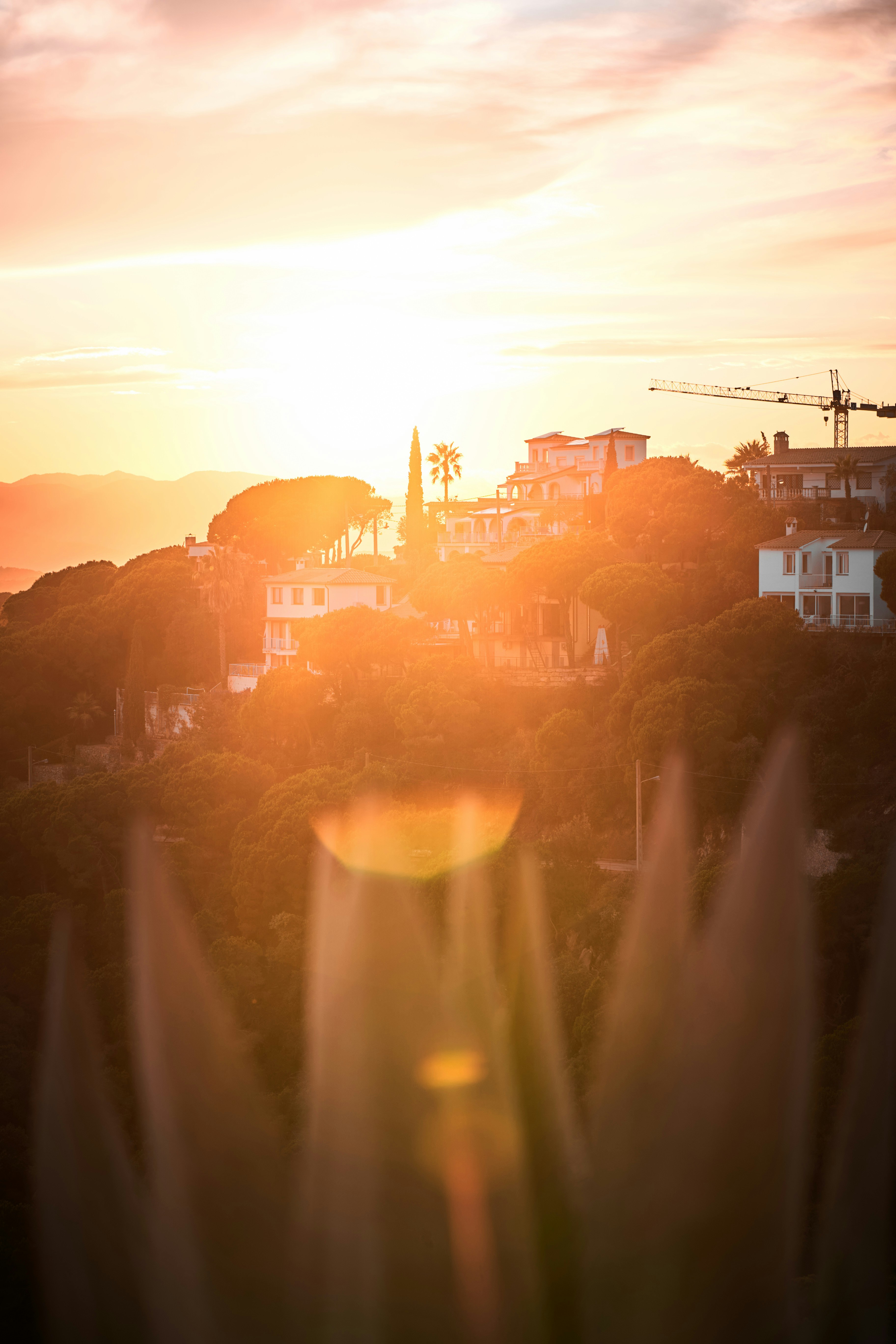 Golden sunlight bathes hillside homes, framed by lush greenery and silhouetted against a vibrant sky. A hint of foreground foliage adds depth.