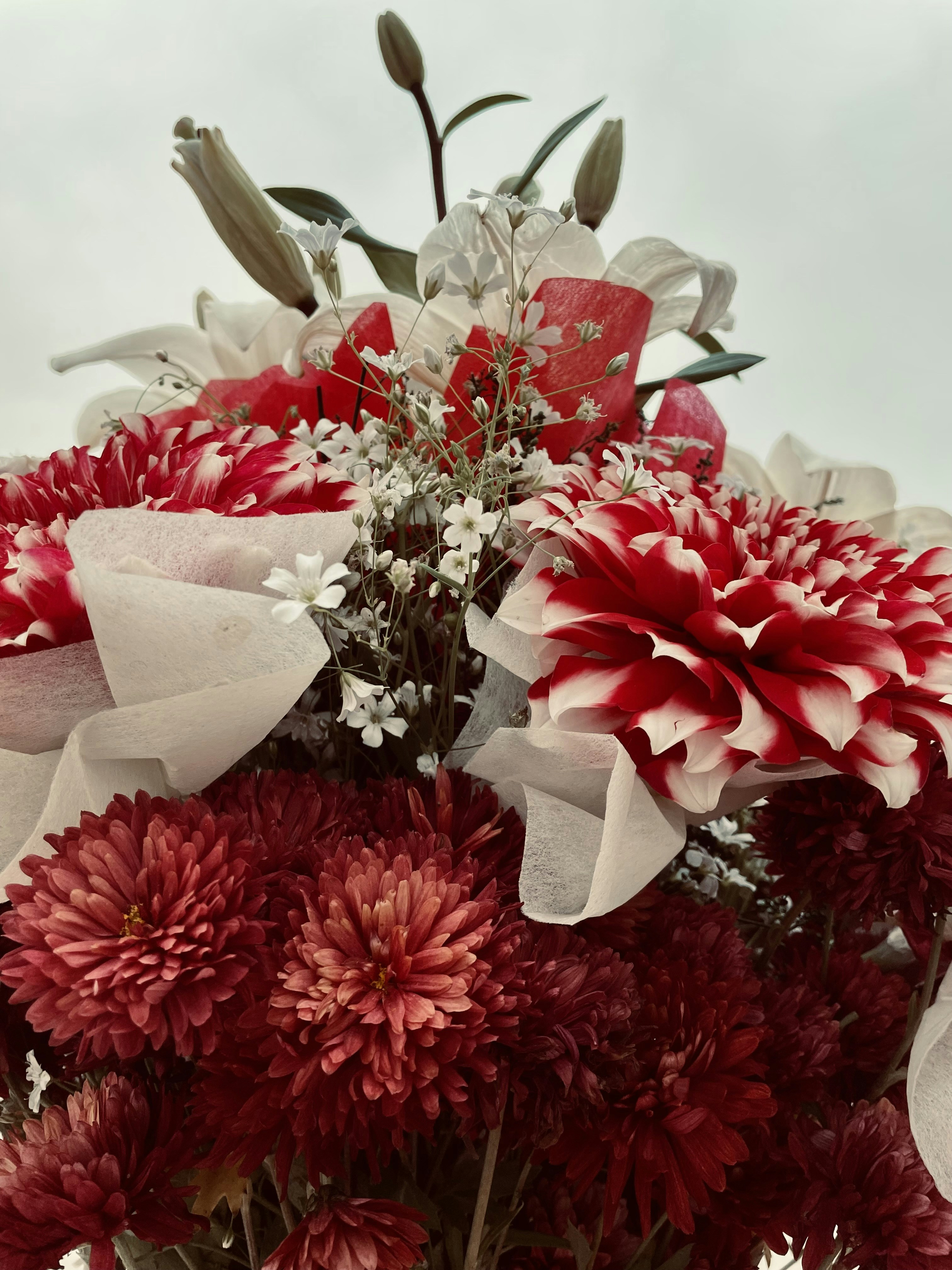 Crimson Pom-Poms and Ivory Sprigs: A Bouquet’s Quiet Glow