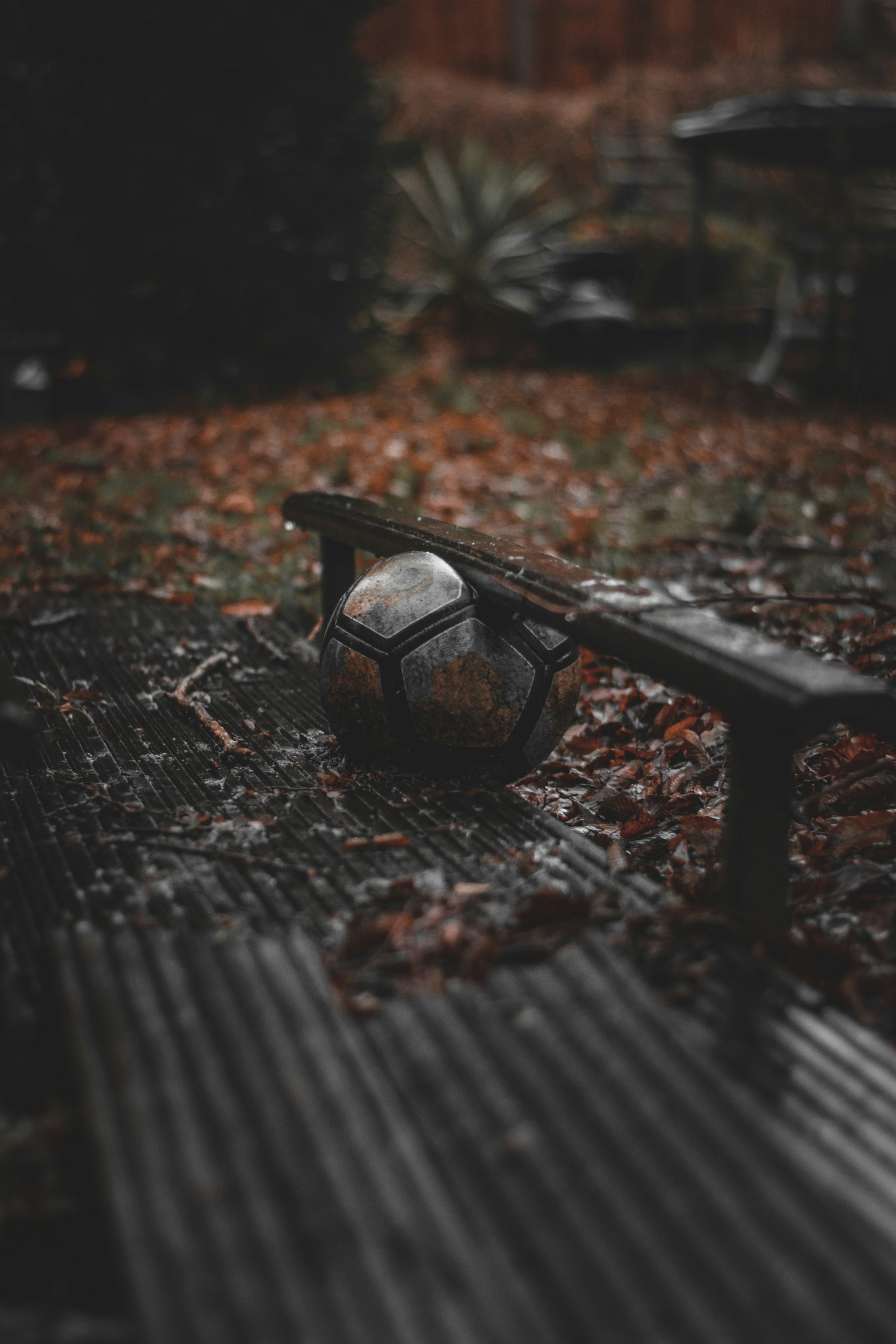 Un ballon de soccer posé sur un banc en bois photo – Photo Vert ...