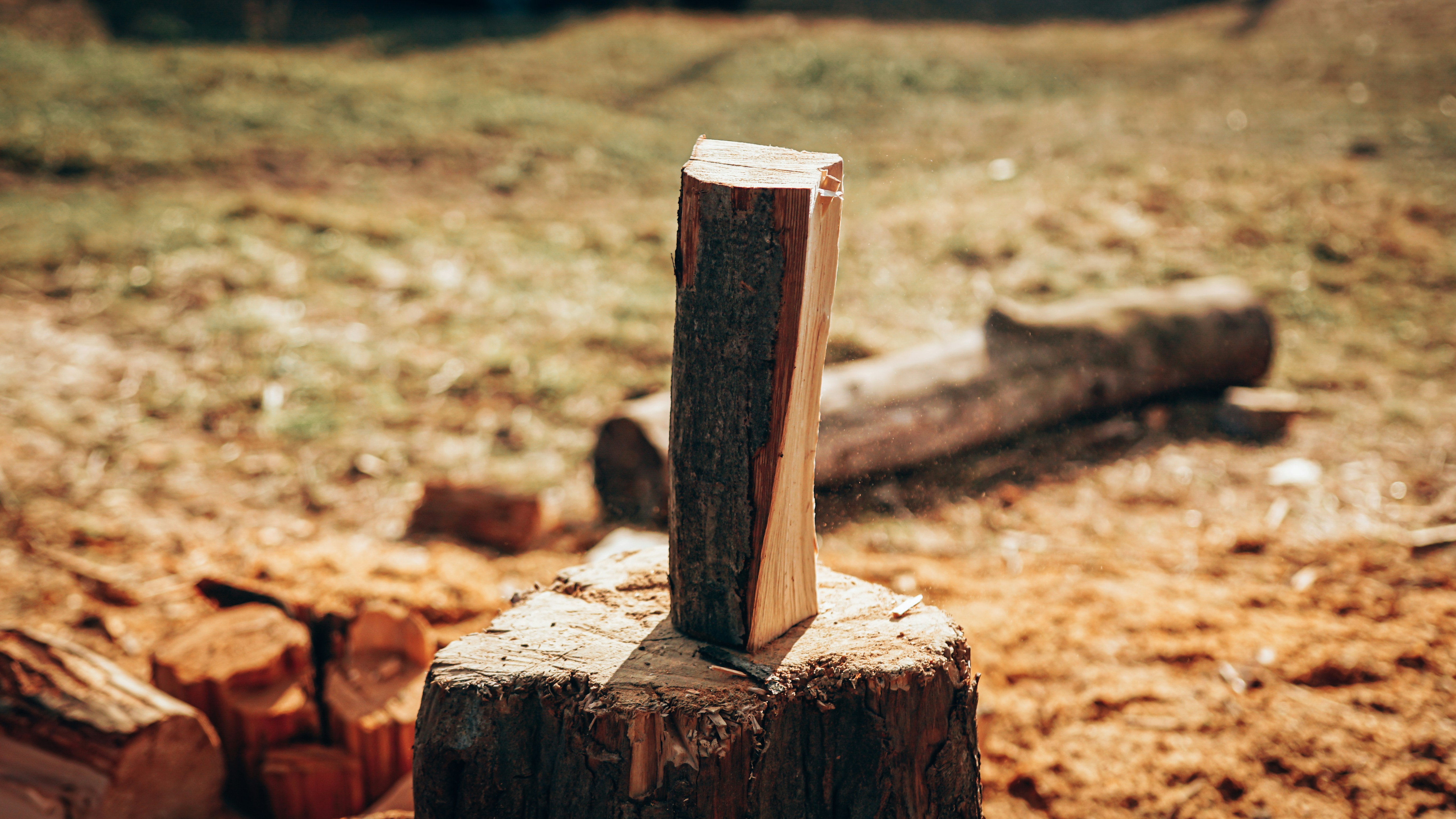 Hudson Axe Stand: A Log’s Quiet Witness