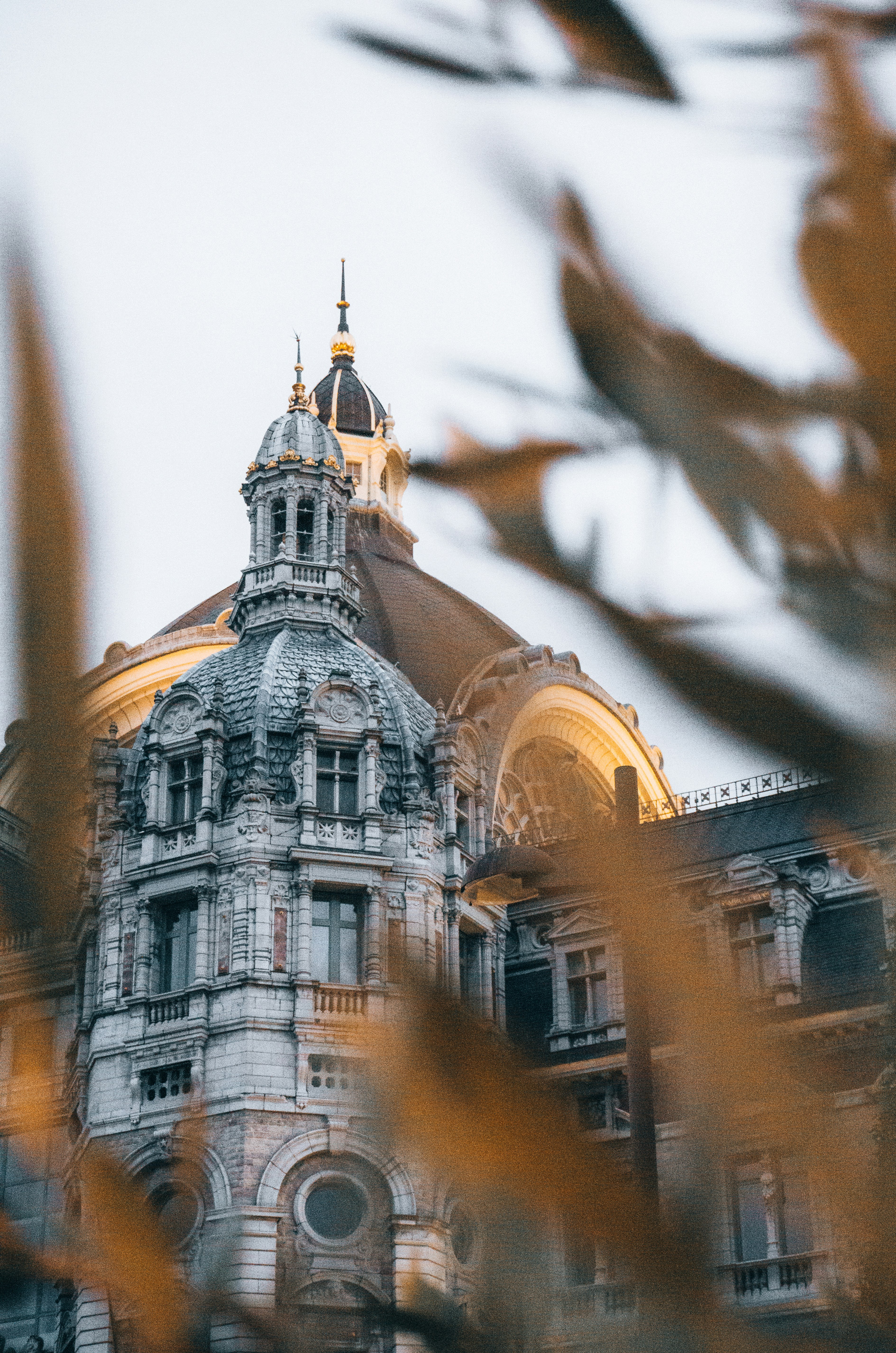 Sunlit Marble Facade Framed by Autumn Foliage
