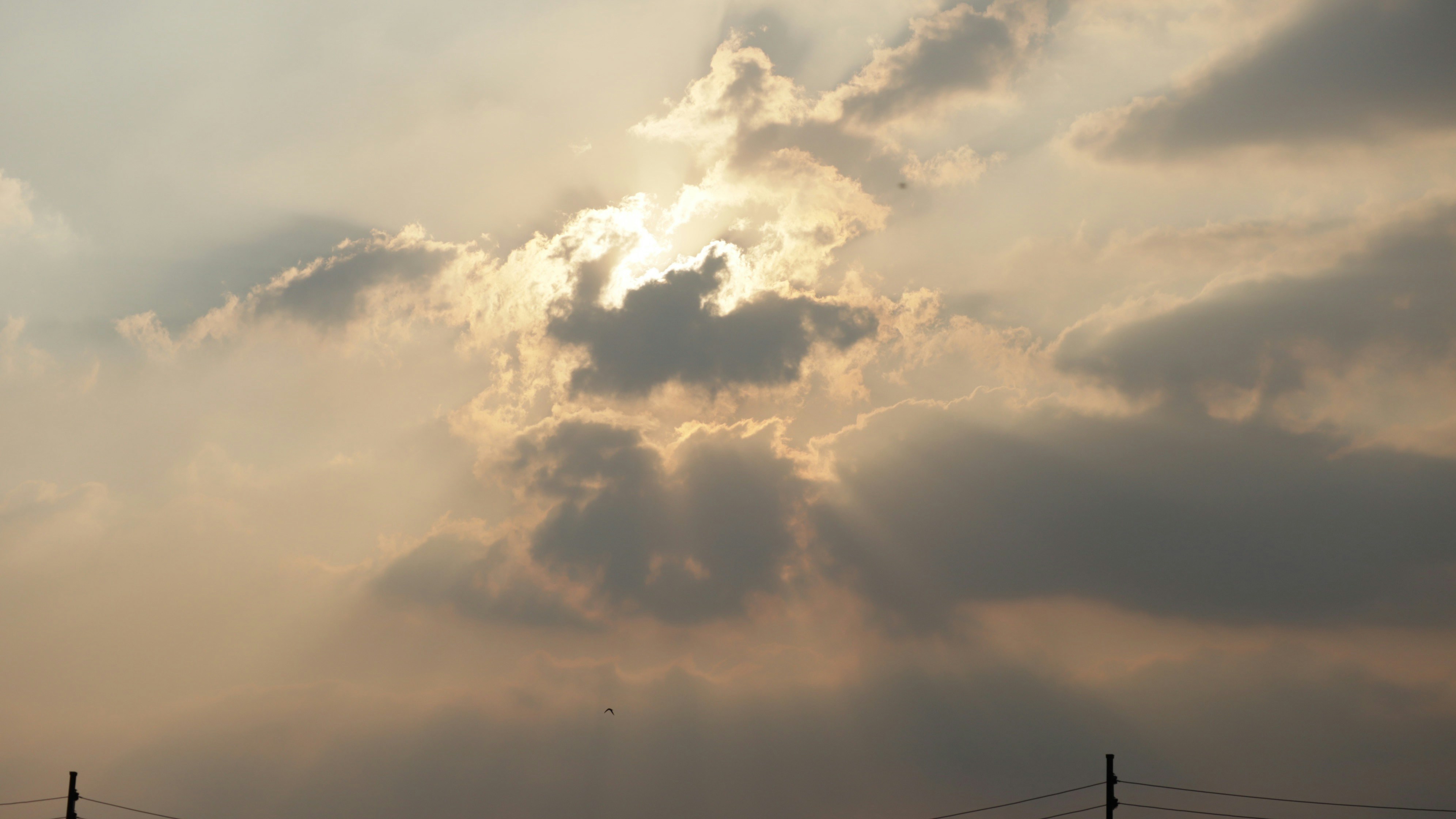 Veil of Light: A Celestial Dance