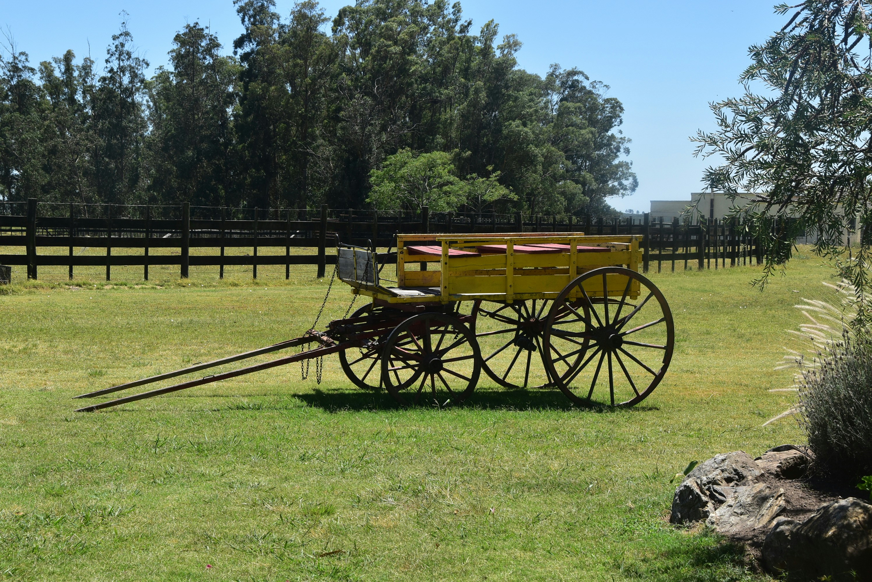 A yellow wagon sitting on top of a lush green field photo – Free 23 ...