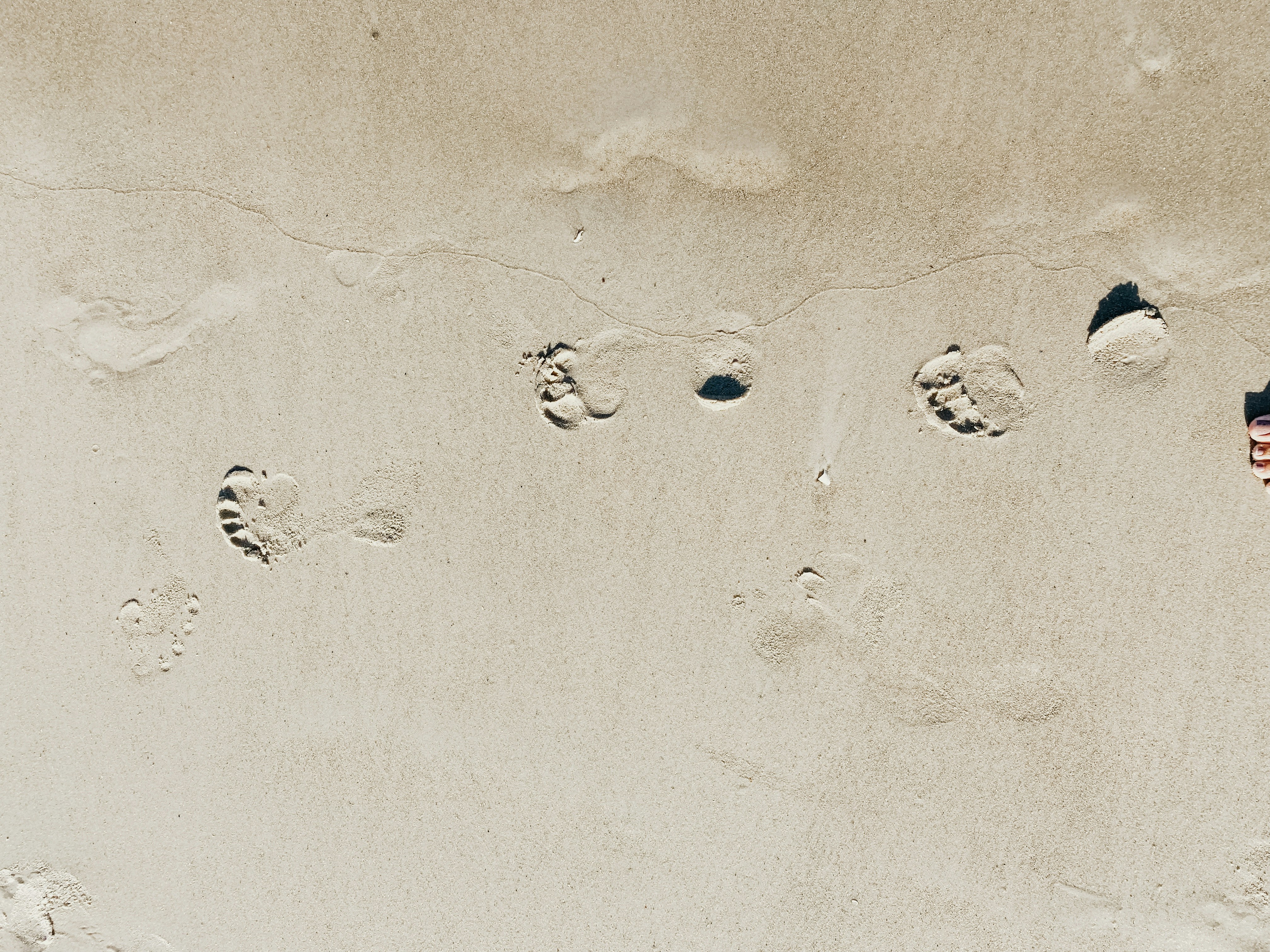 Footprints in Time
