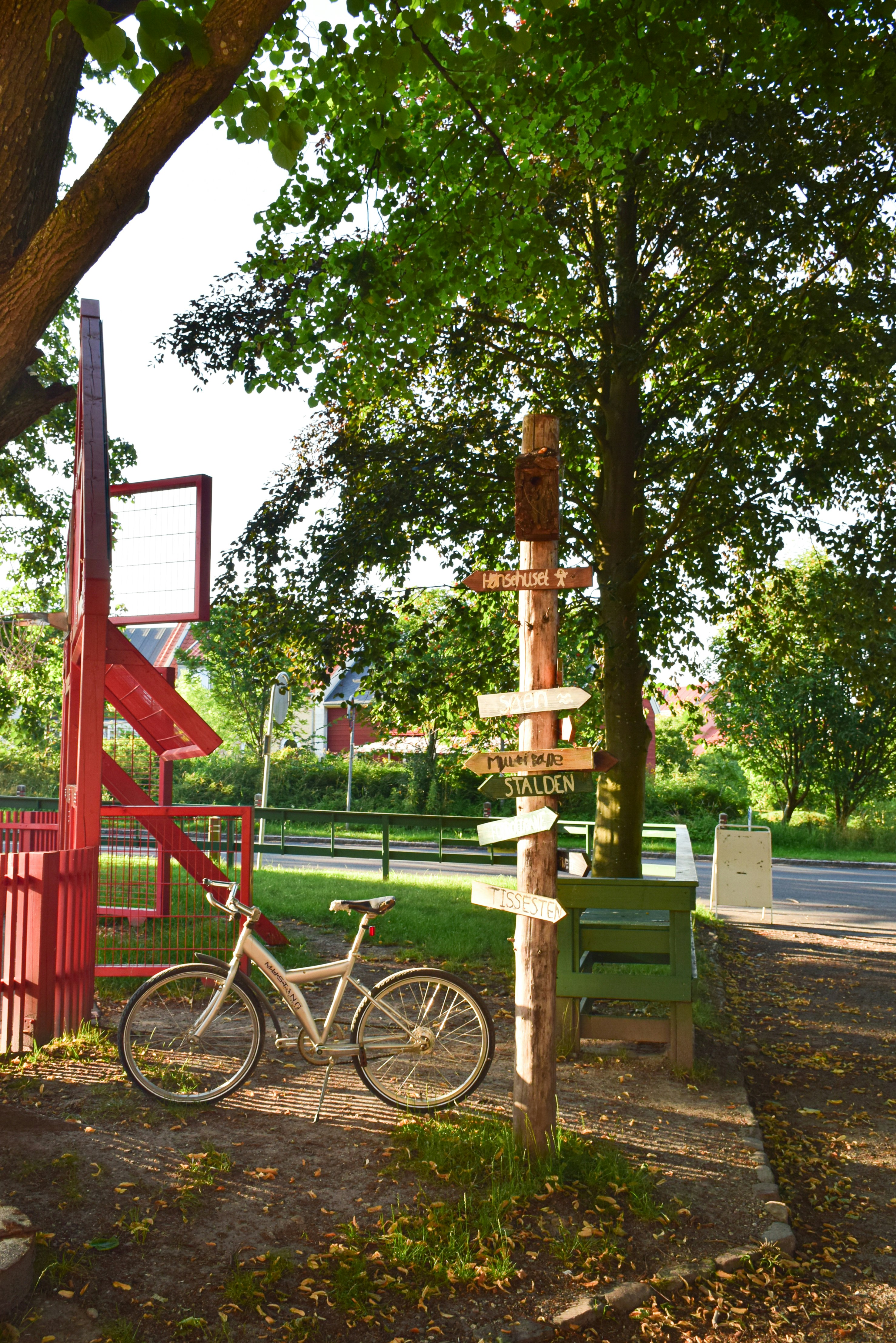 A rustic signpost with multiple directional arrows stands next to a bicycle, inviting exploration in a serene park setting.