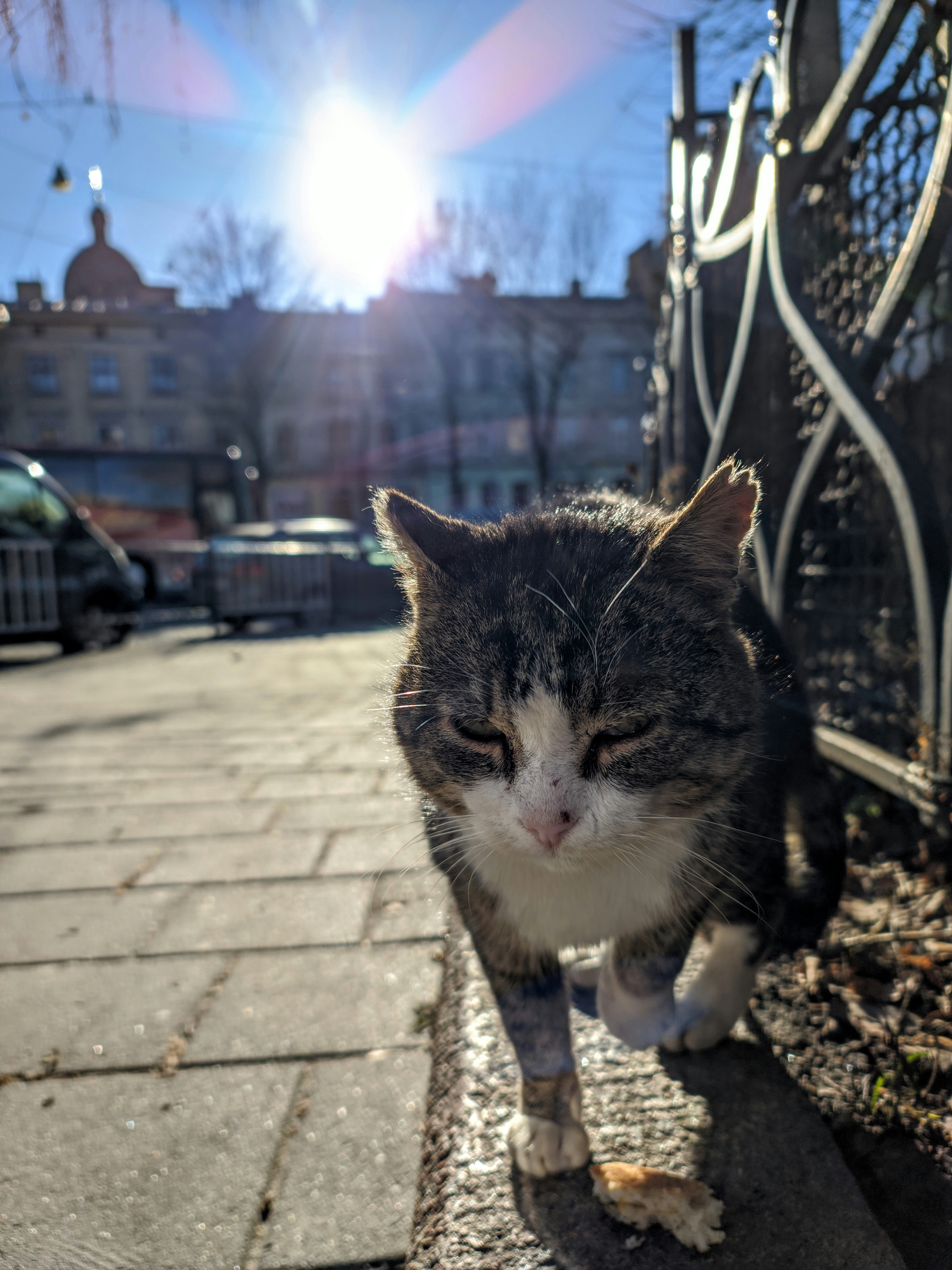 Sample photo from Motorola Edge Plus