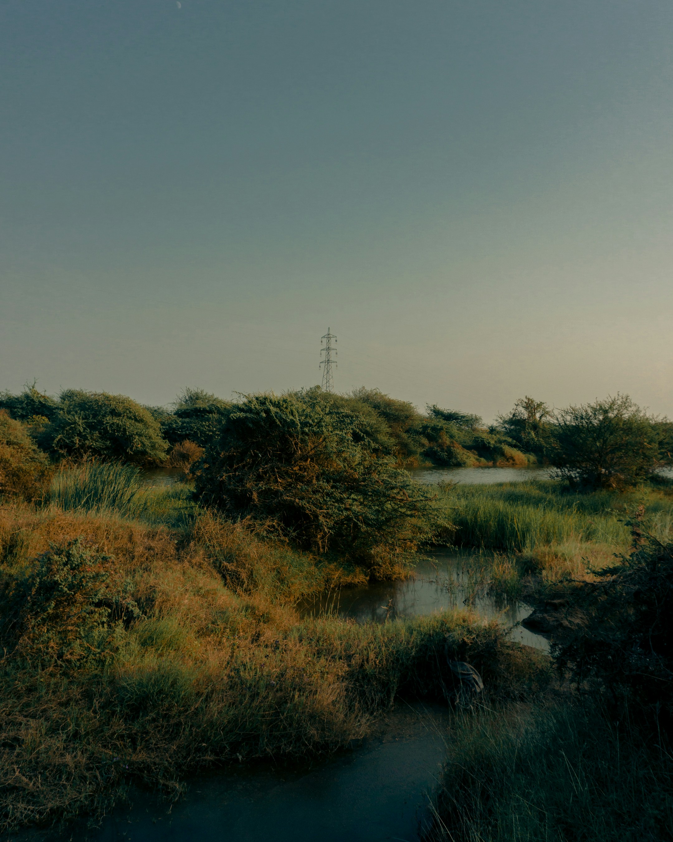a small stream running through a lush green field