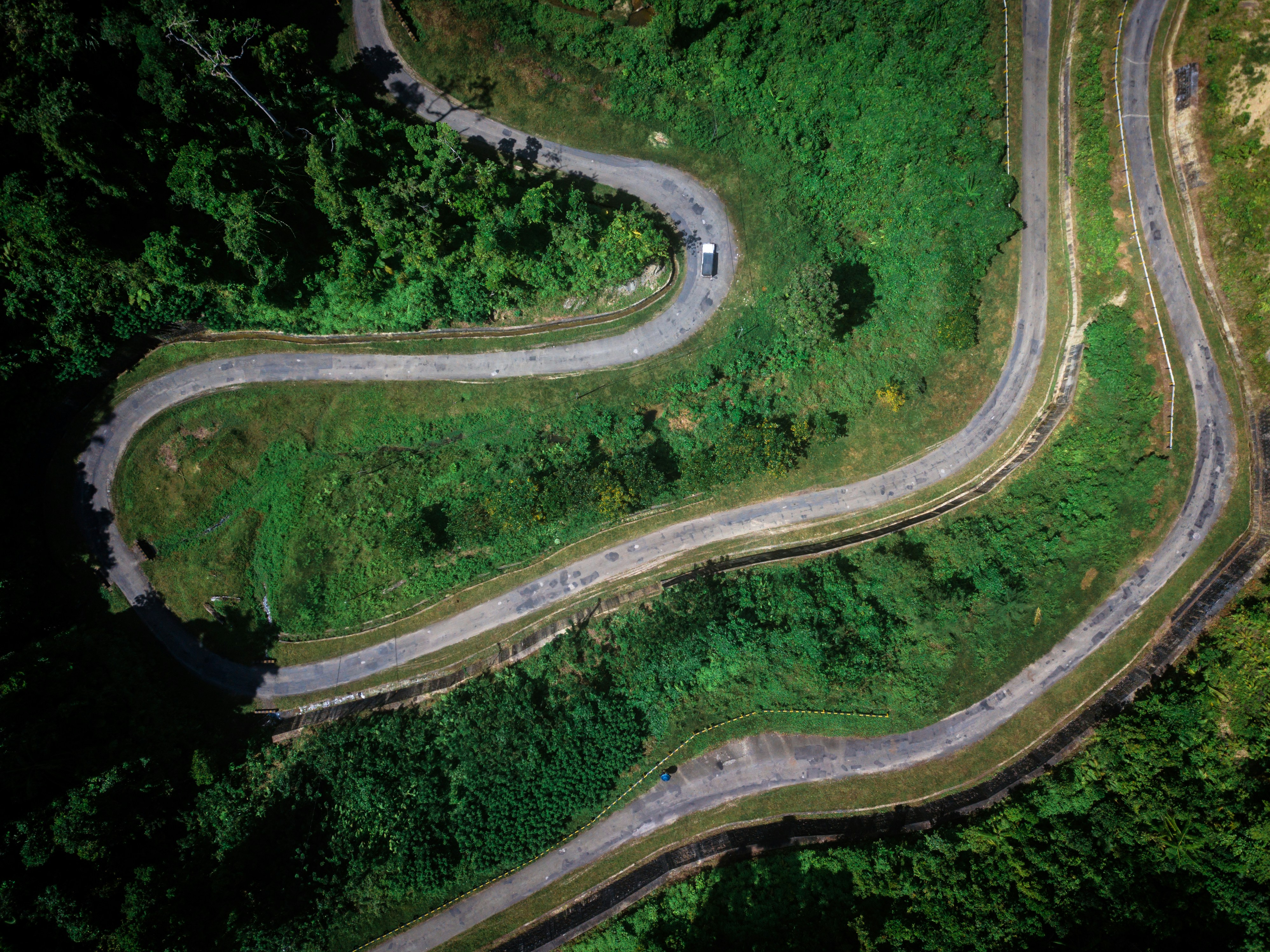 Une route sinueuse au milieu d’une forêt verdoyante photo – Photo Décor ...
