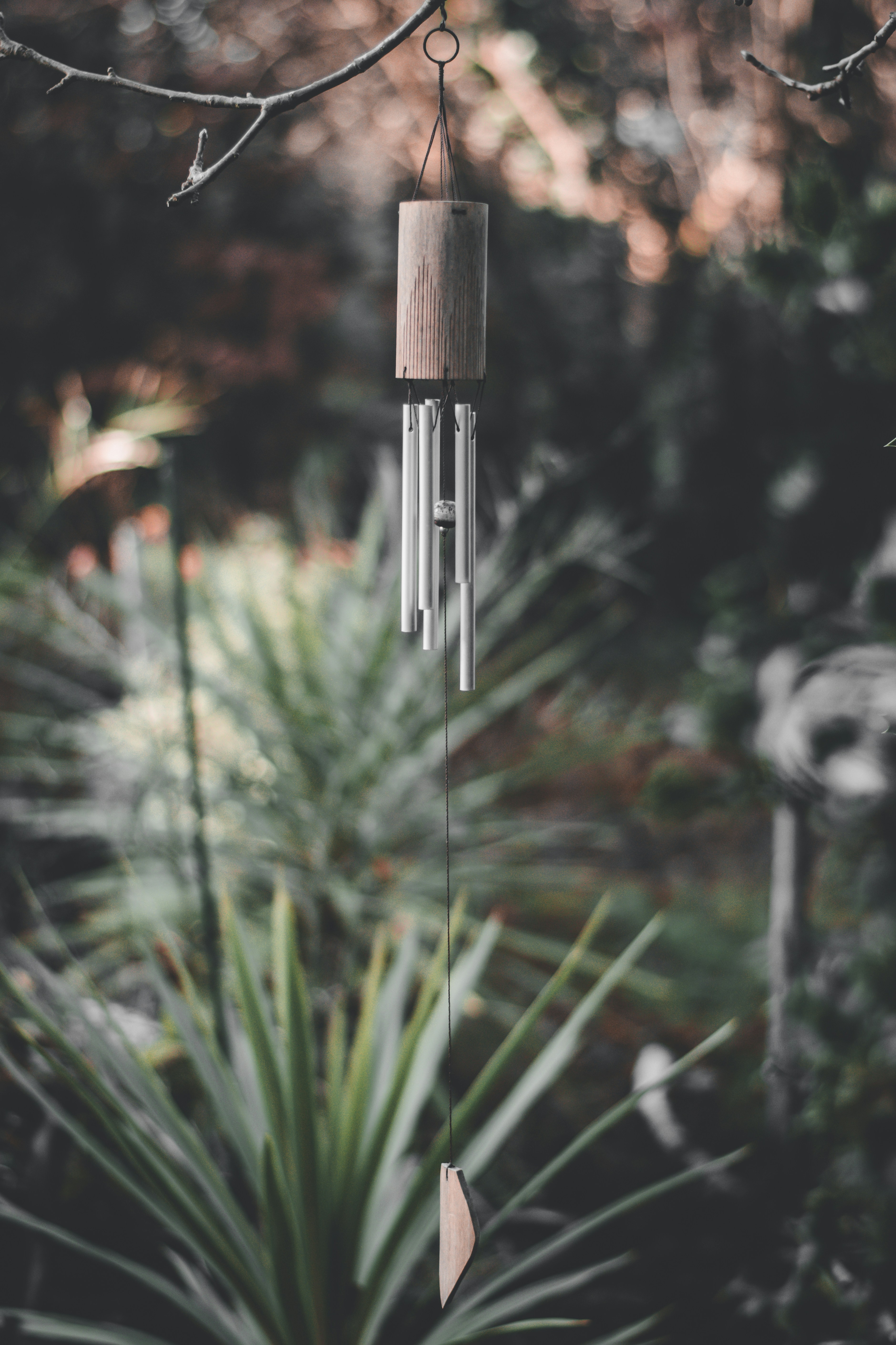 A wind chime hanging from a tree branch photo – Free England Image on ...