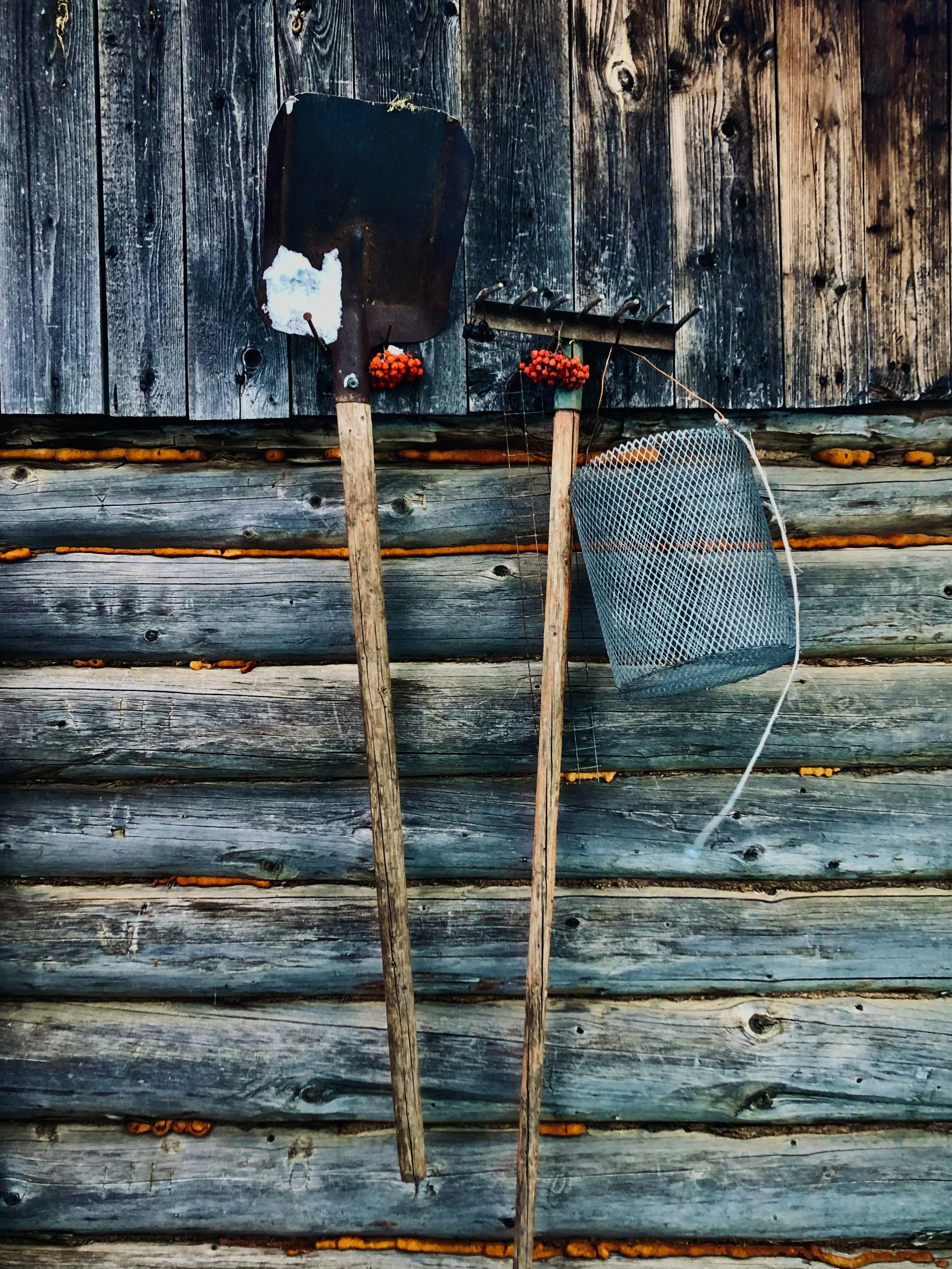 a pair of shovels and a rake leaning against a wooden wall