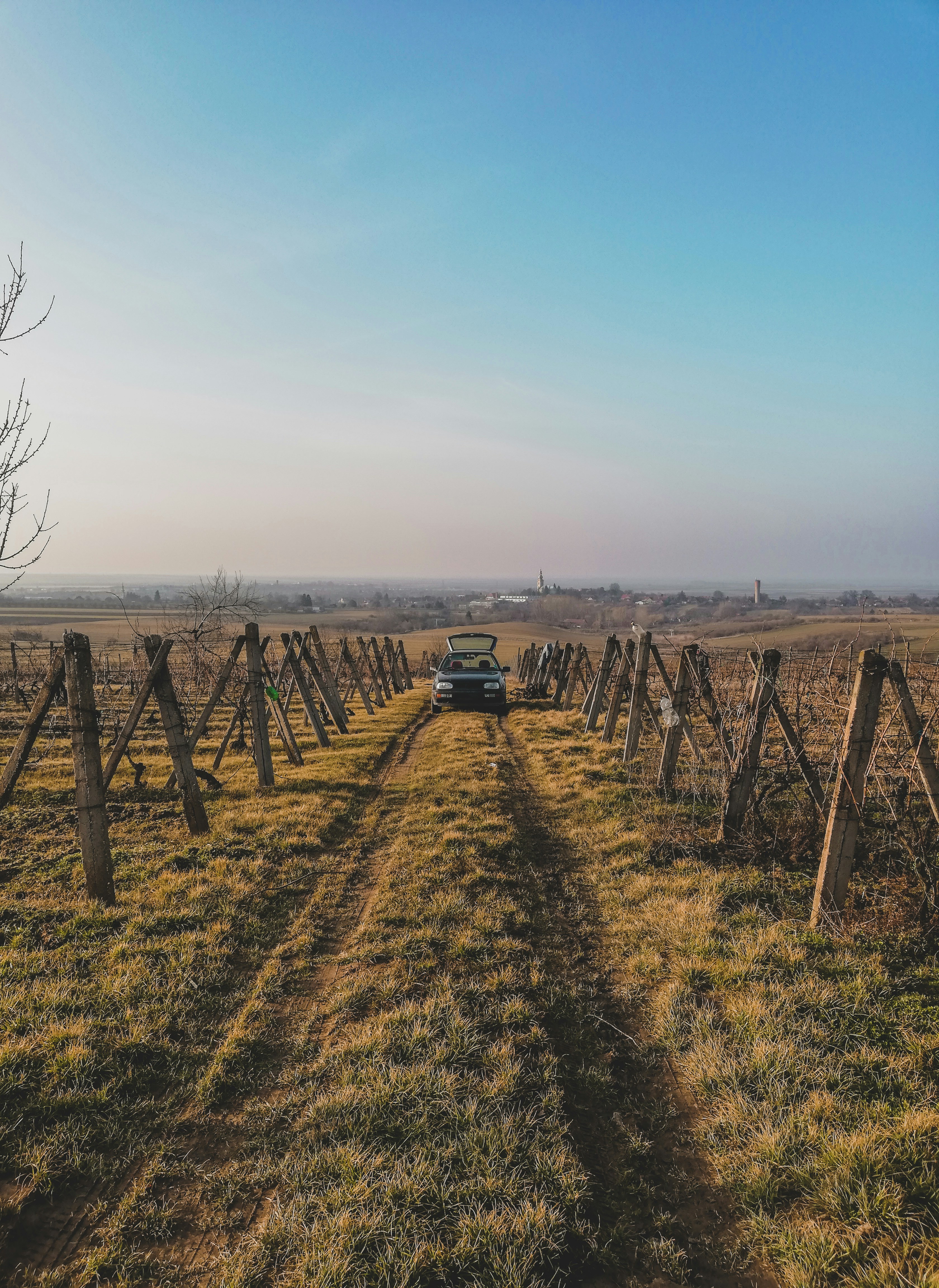 A car parked on a dirt path lined with vineyard rows under a clear blue sky. The landscape stretches into the distance, showcasing a tranquil rural scene.