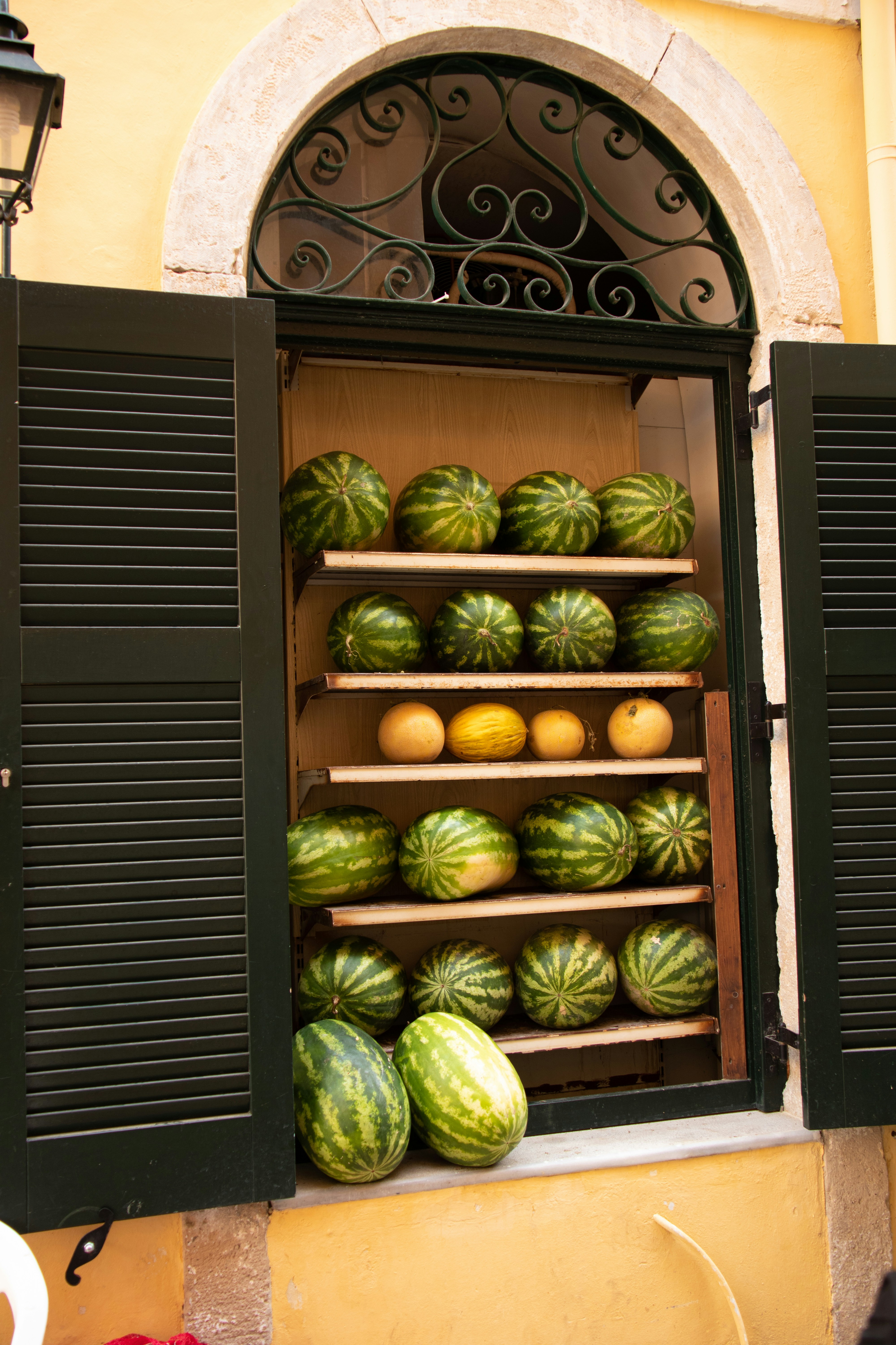 Foto Una exhibición de sandías y melones en una ventana – Imagen Planta ...