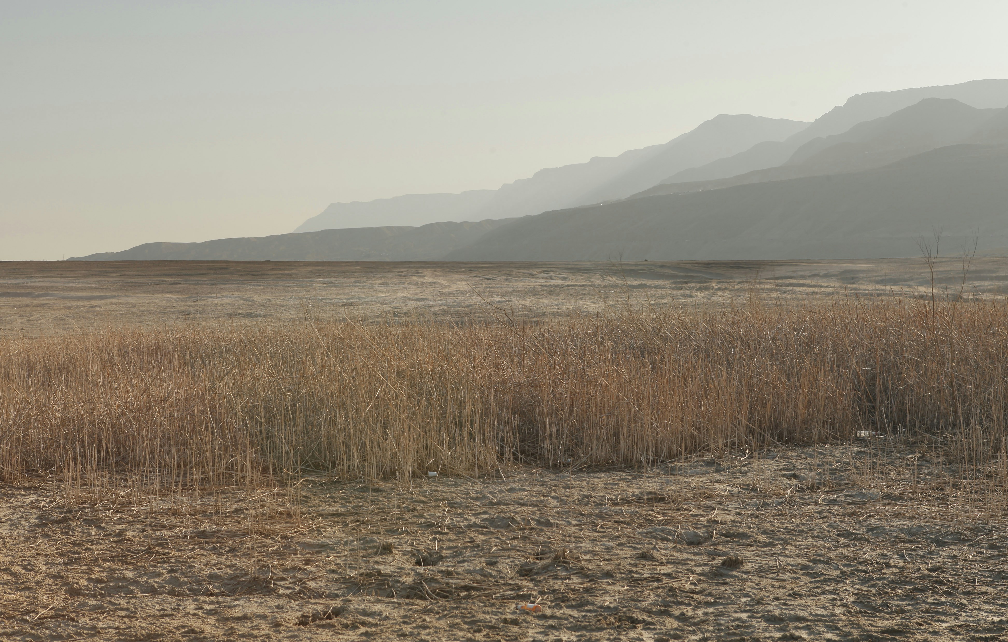 Un champ d’herbe sèche avec des montagnes en arrière-plan photo – Photo ...