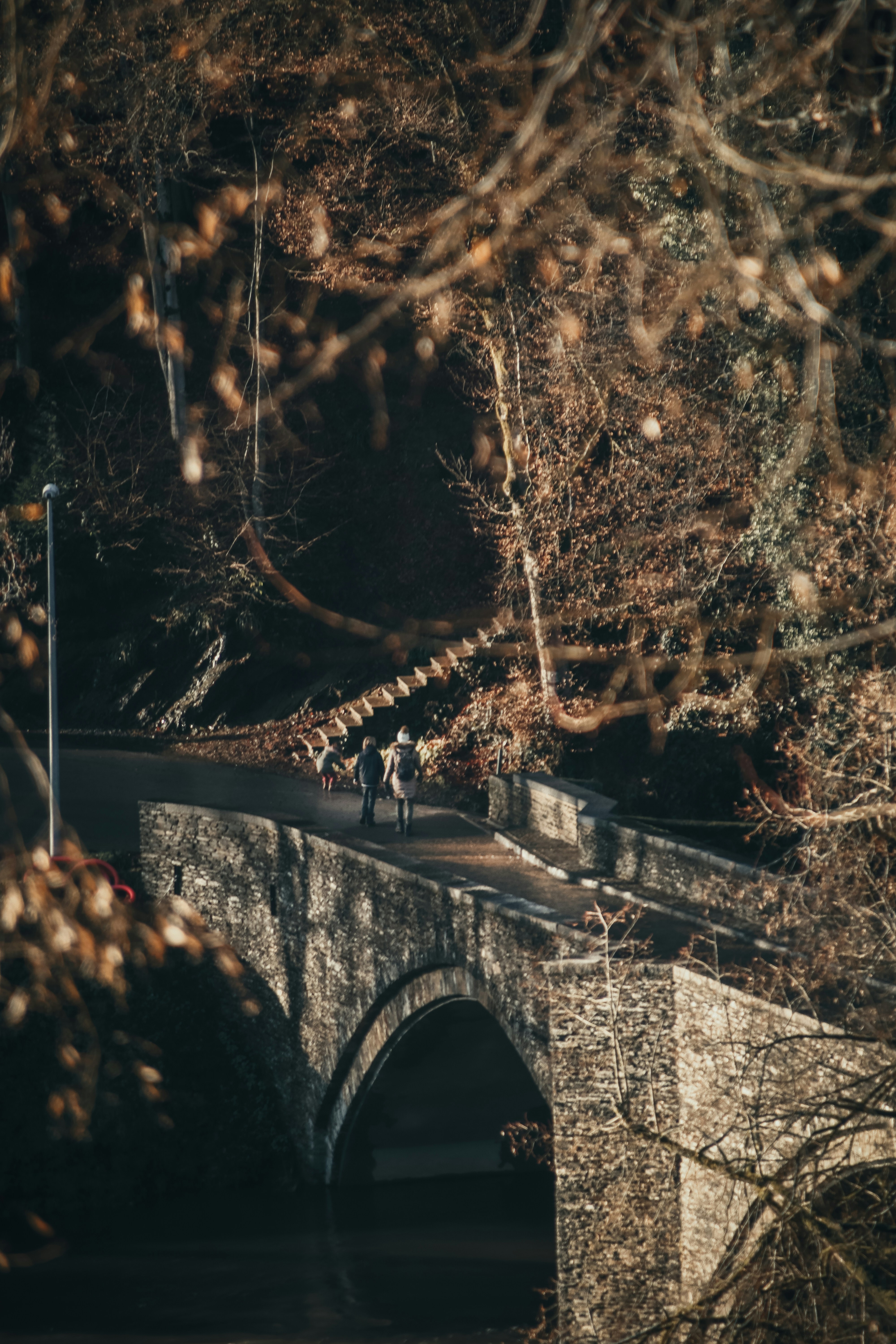 Twilight Stroll Across a Mossy Arch Bridge