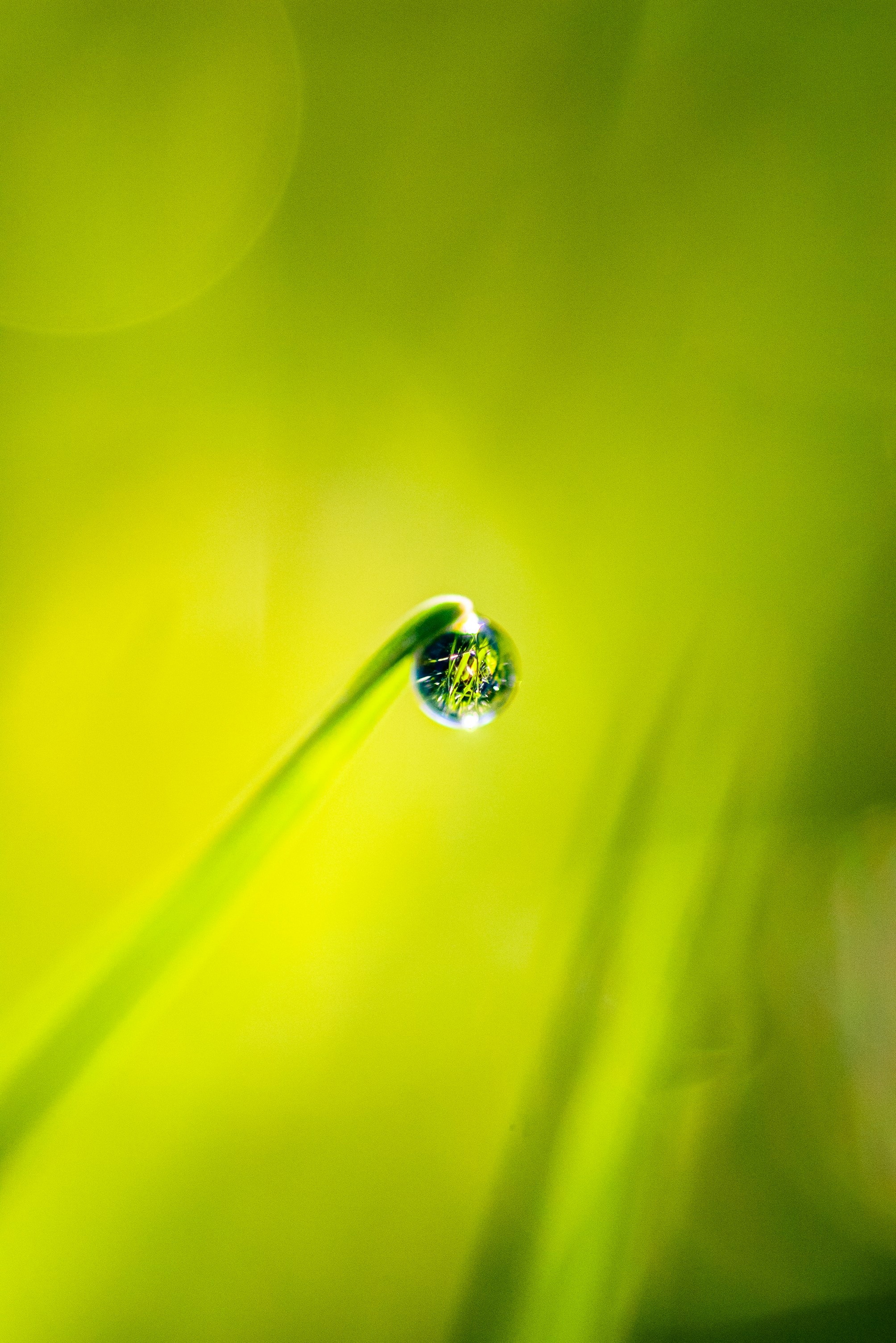 Close-up of a water droplet resting on a blade of grass, reflecting vibrant greenery in its surface. The soft focus background enhances the clarity of the droplet.