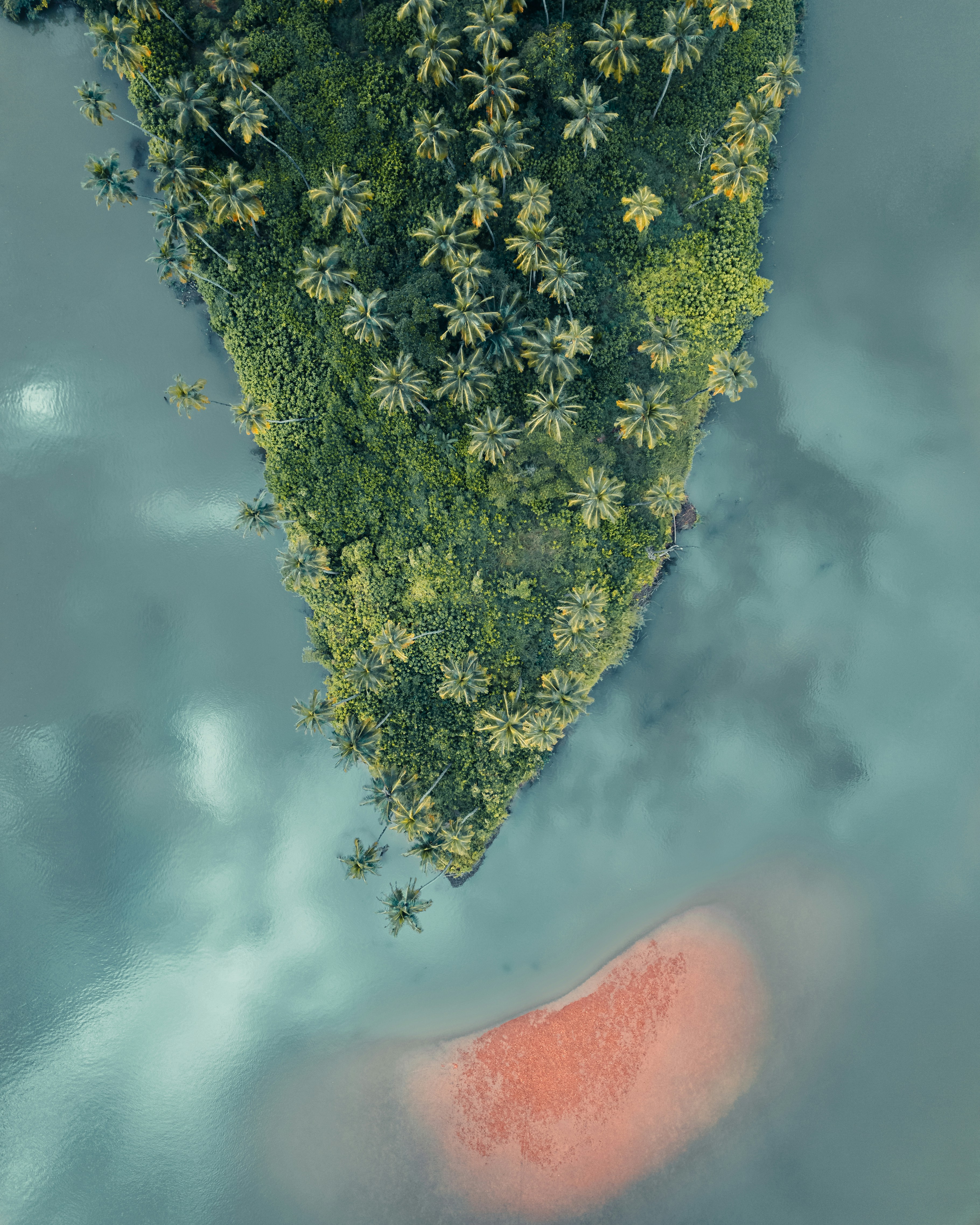 Lush green island covered in palm trees surrounded by tranquil blue waters, with a hint of sandy shore visible below. 