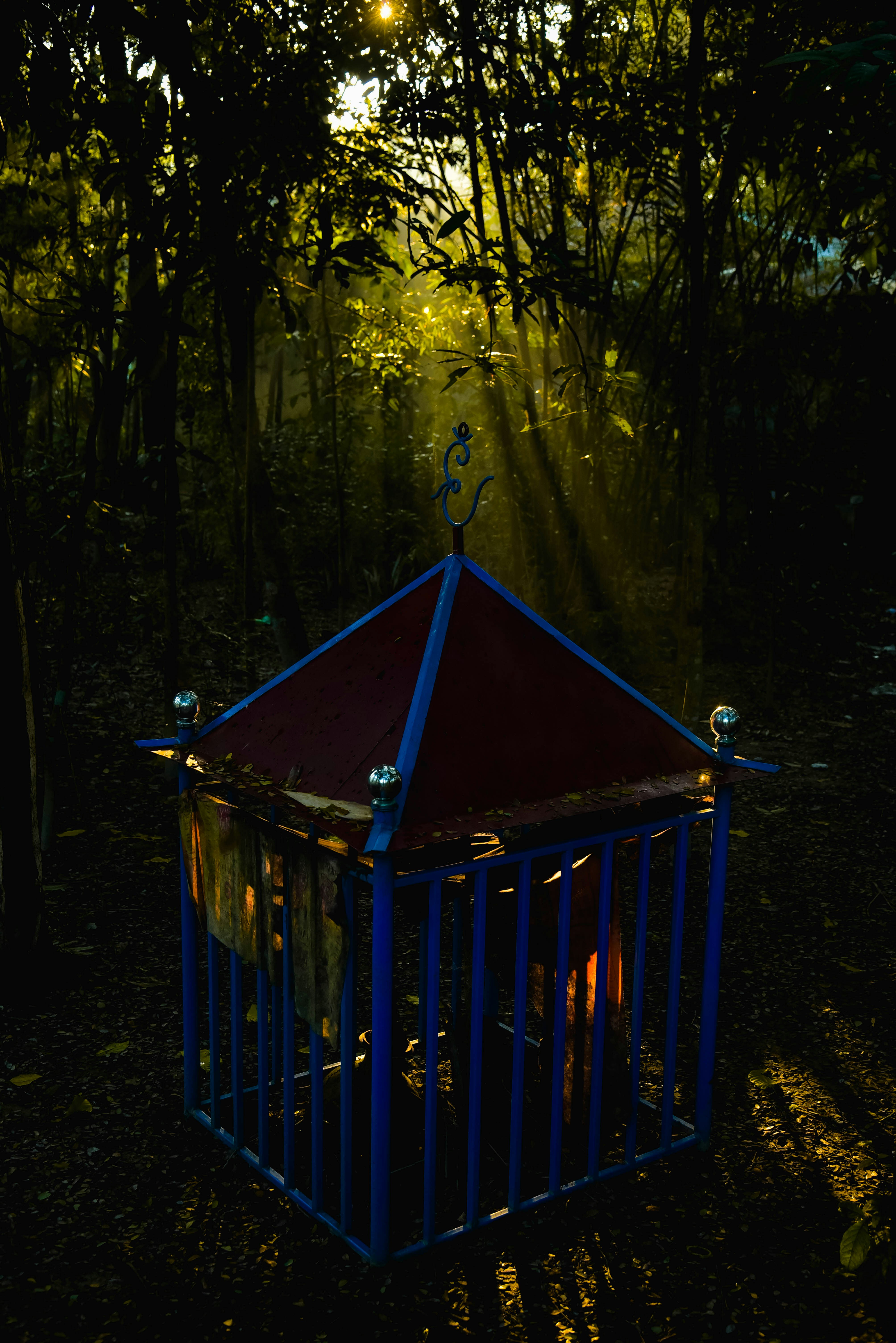 Une cage bleue avec un toit rouge au milieu d’une forêt photo – Photo ...