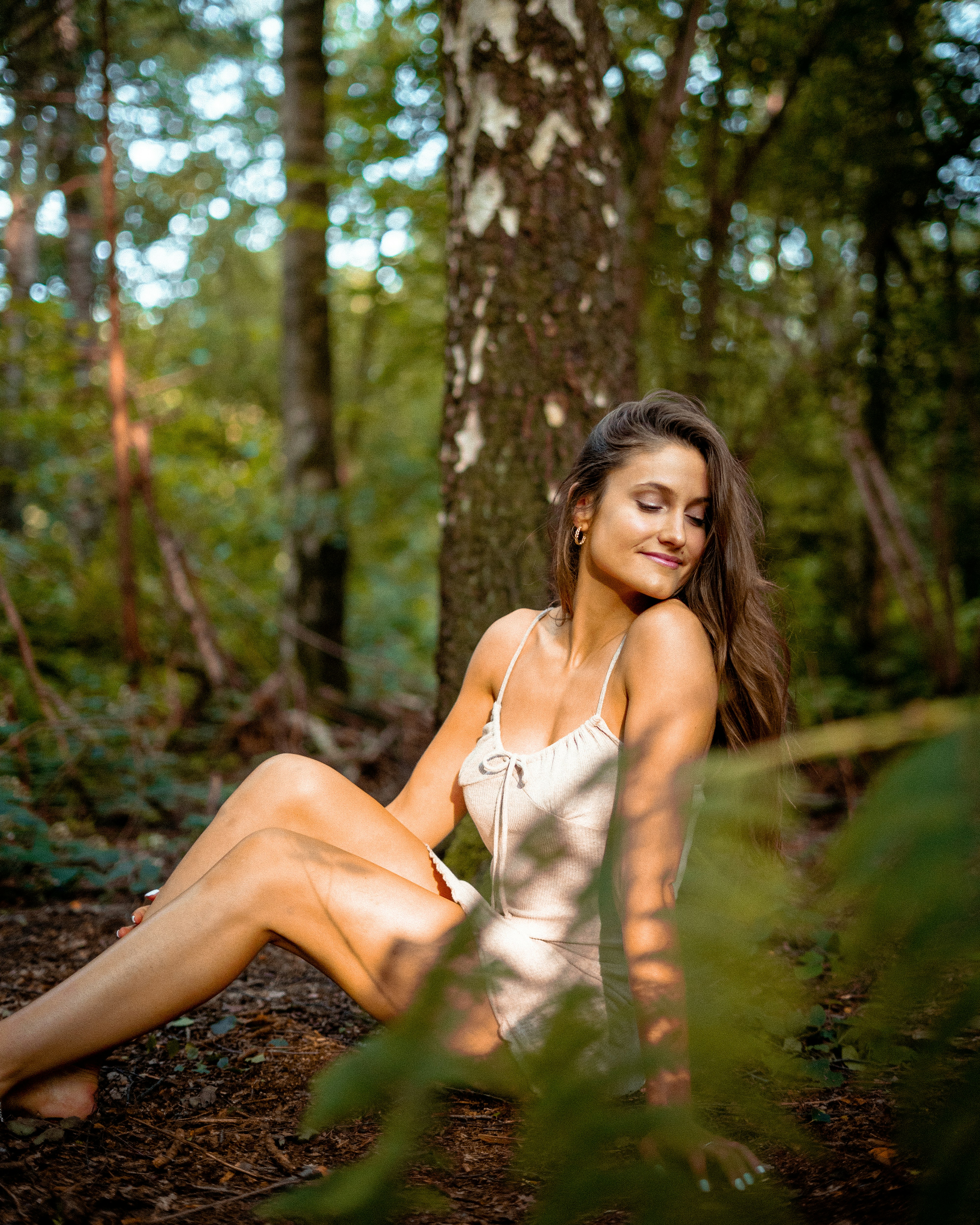 Dappled Quiet: A Sunlit Portrait Among Mossy Pines